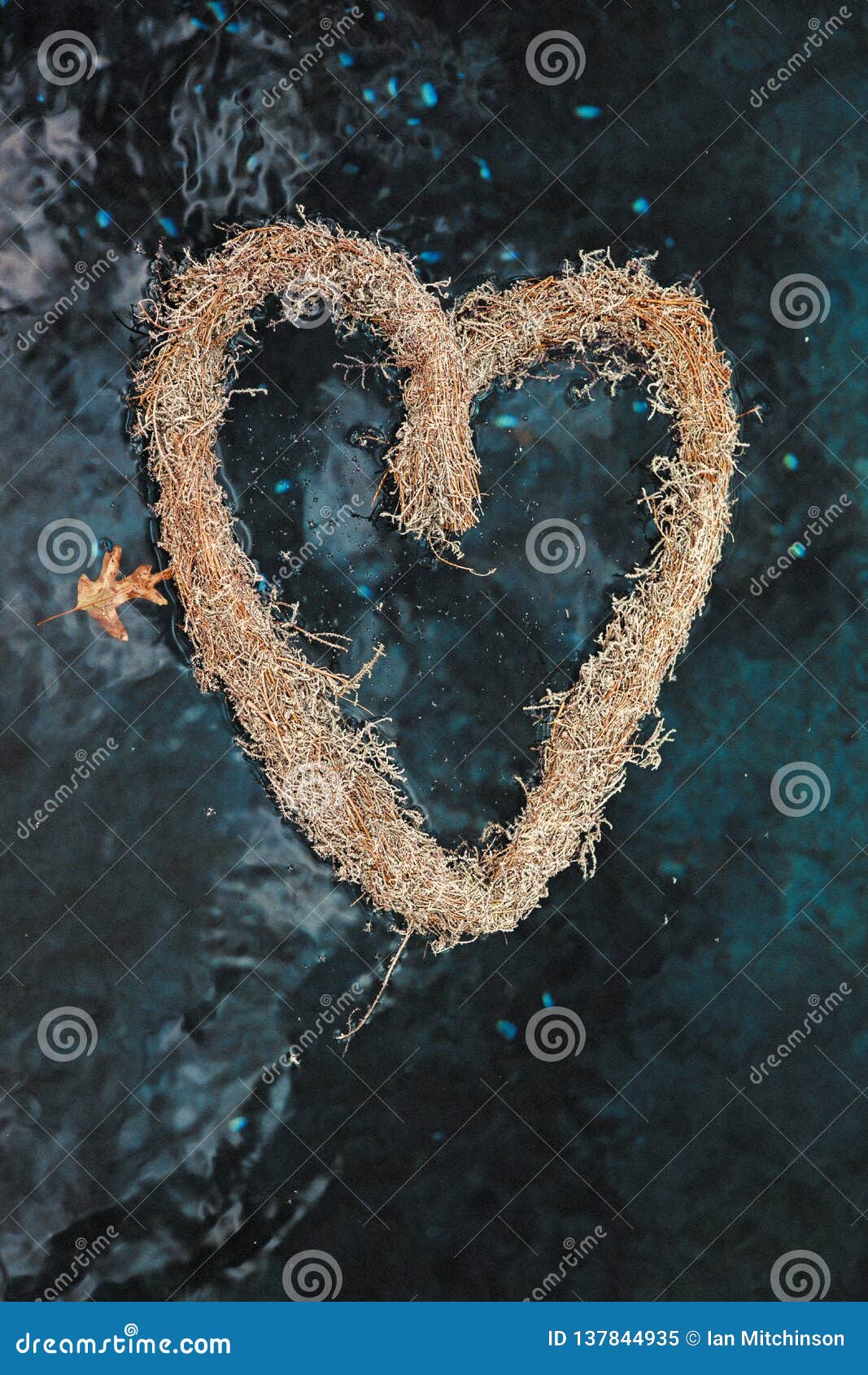 A Heart Shaped Dry Grass Wreath Floats in Water Stock Image - Image of ...