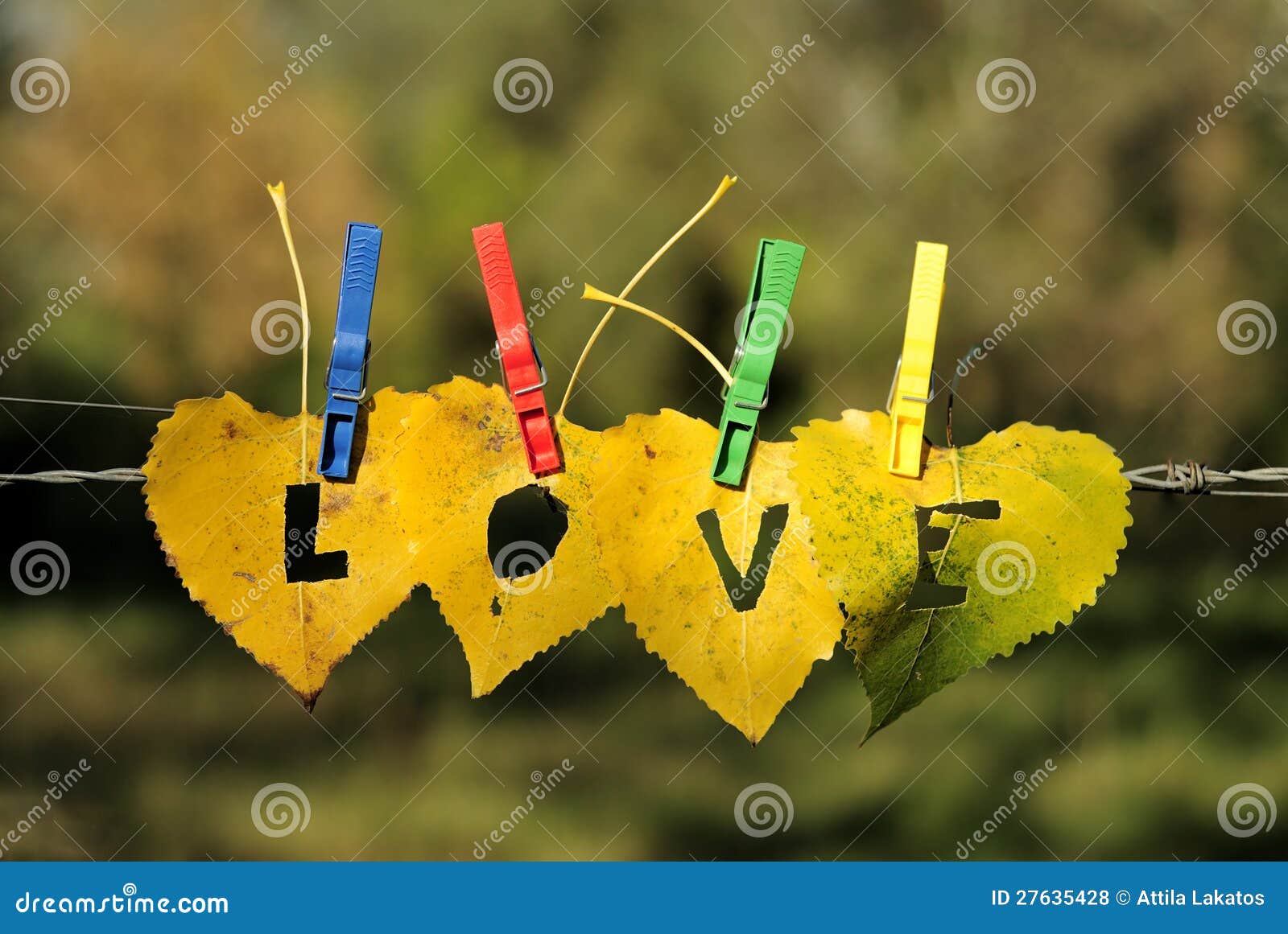 Heart-shaped Fall Leaves with LOVE Word Stock Photo - Image of color ...