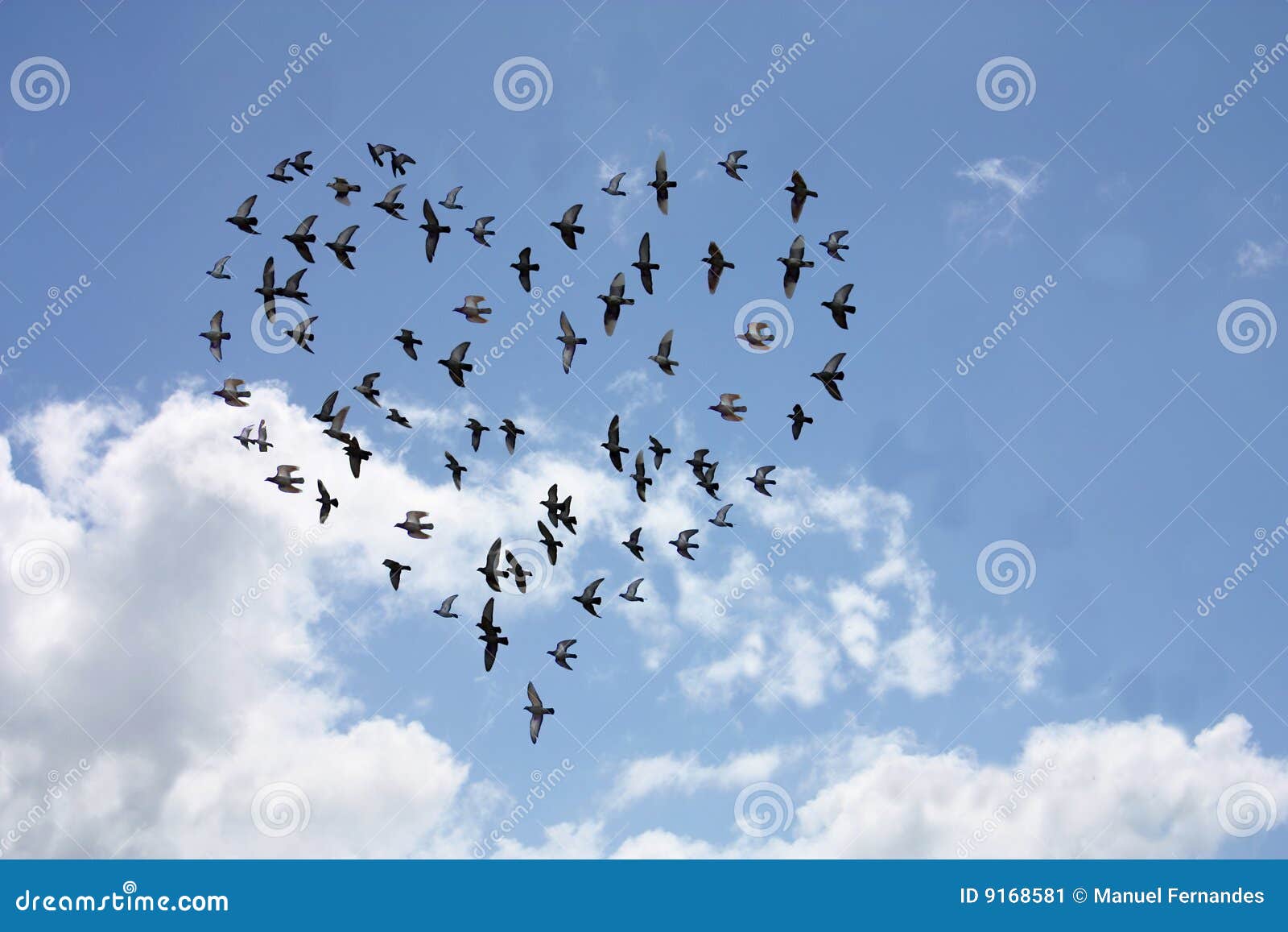 Birds Making A Heart