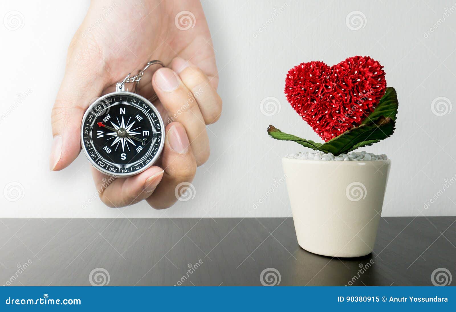 Heart Shaped Flower Pot on Black Desk with Compass for Love Stock Image ...