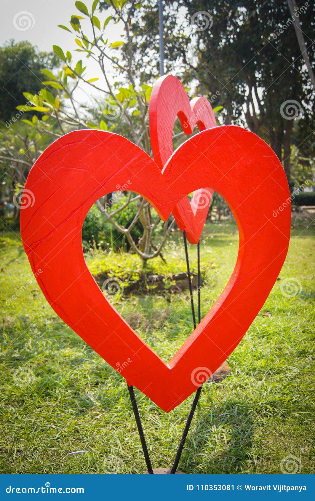 The Heart-shaped in the Garden Stock Image - Image of love, gallery ...