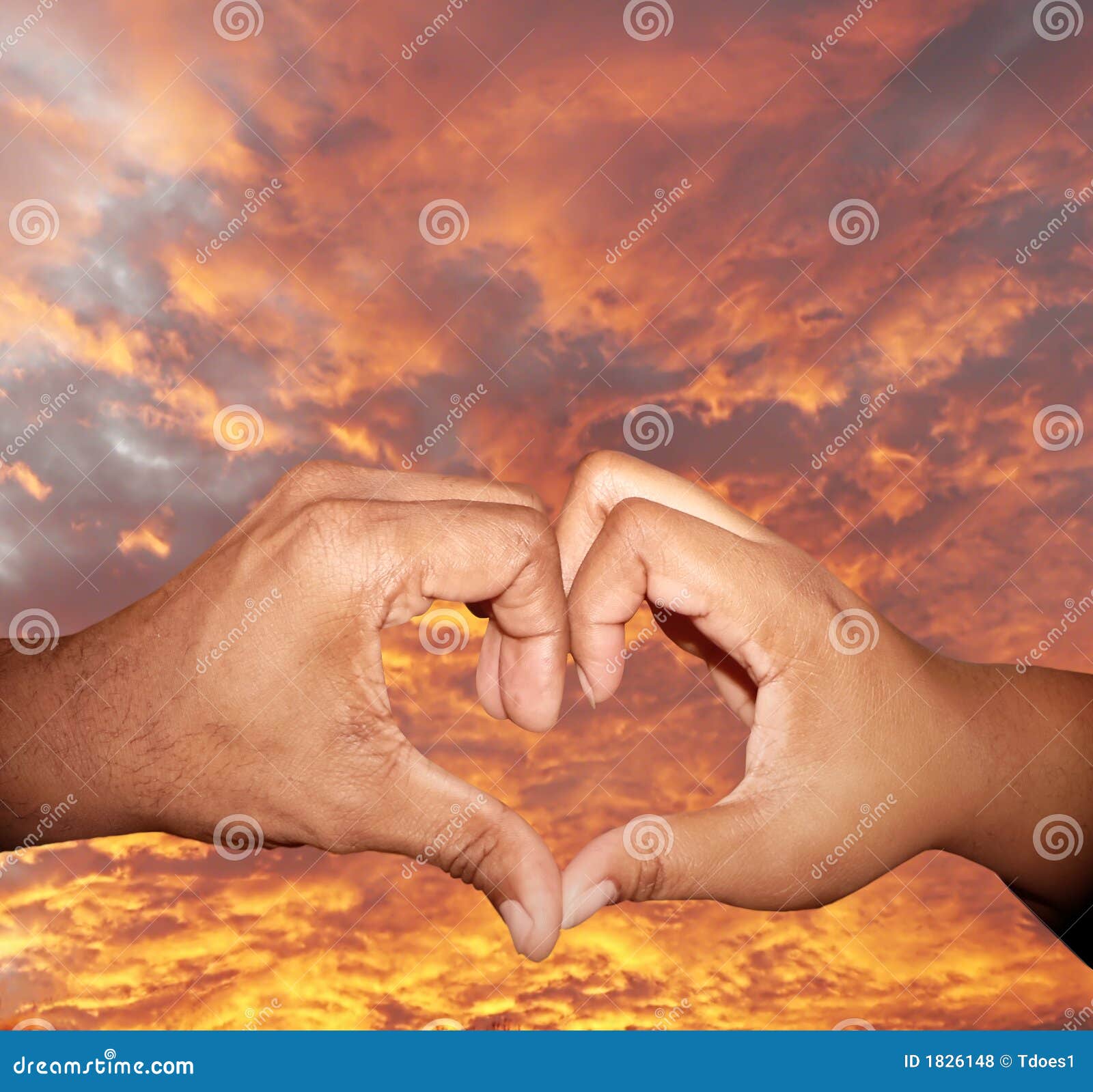 Heart Shaped Hand Gesture 2 Stock Photo - Image of isolated, valentines ...