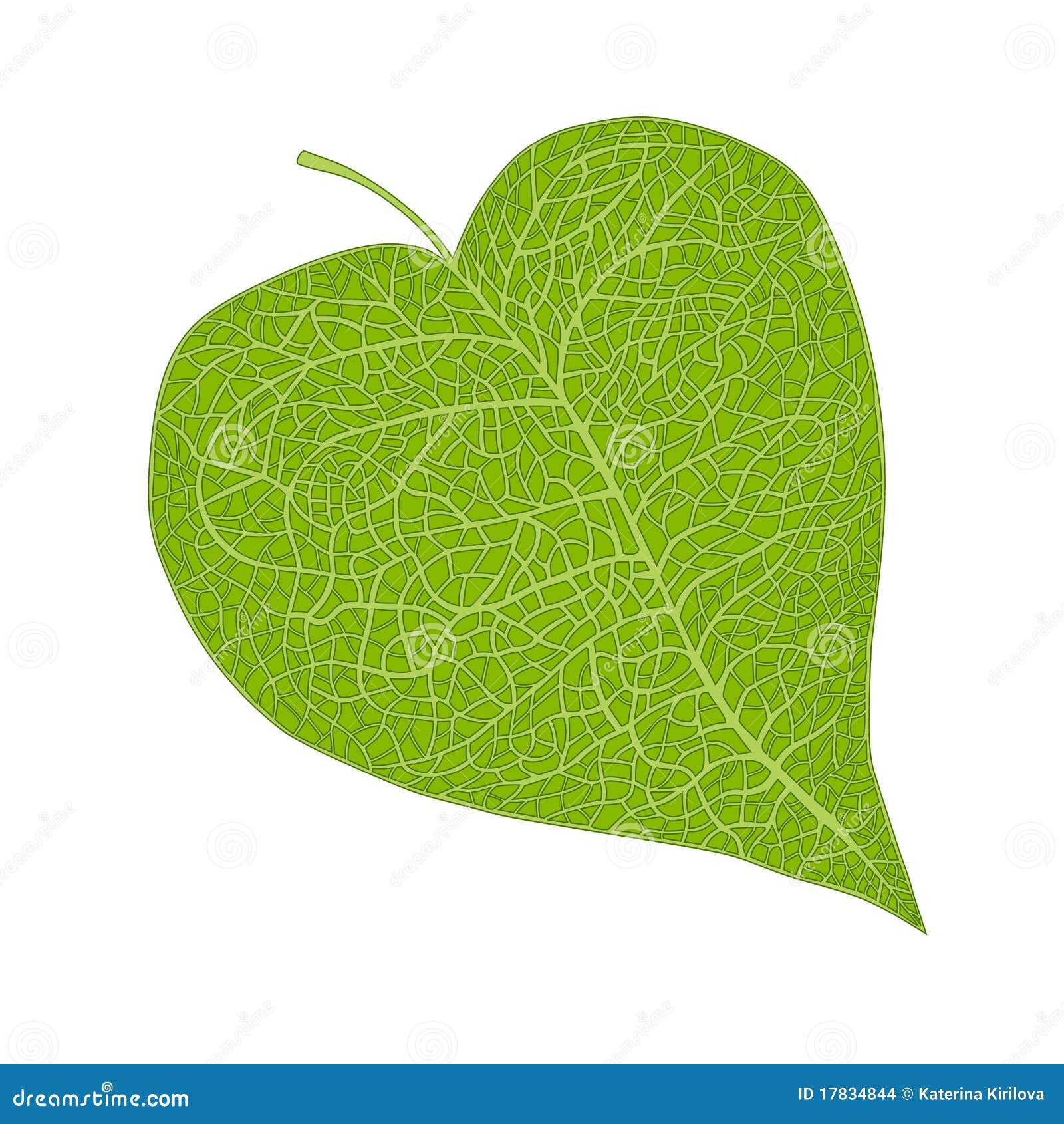 Heart shaped leaf stock vector. Illustration of vein - 17834844