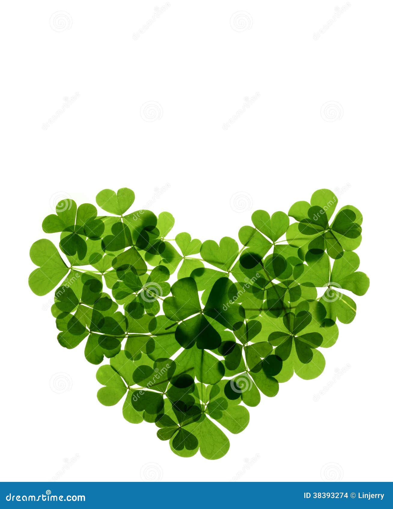 Heart shaped of leaf clove stock photo. Image of green - 38393274