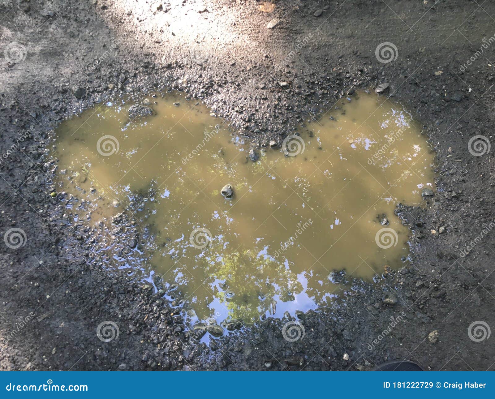 Heart Shaped Mud Puddle stock image. Image of puddle - 181222729