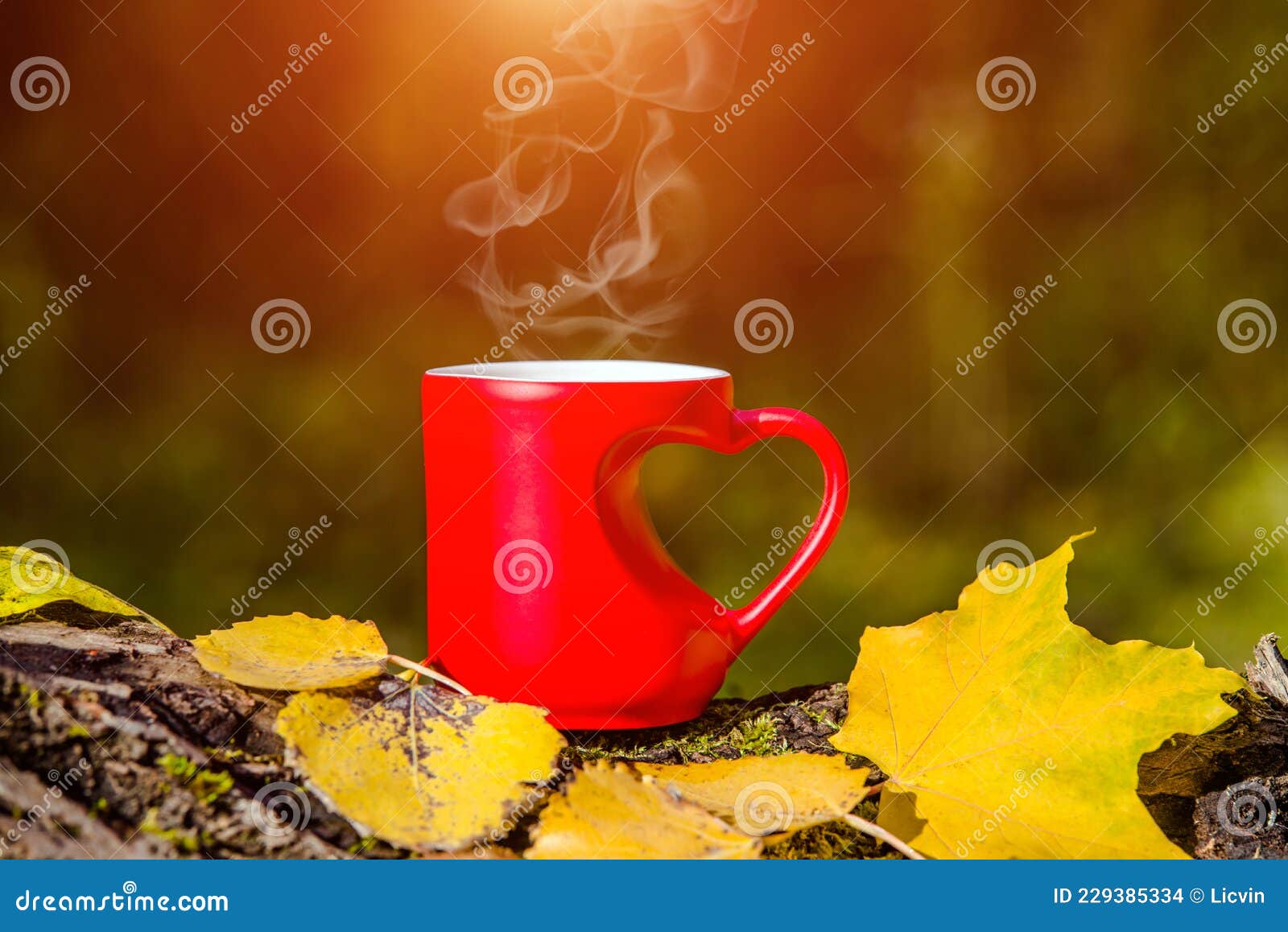 Heart shaped mug stock photo. Image of autumn, maple - 229385334