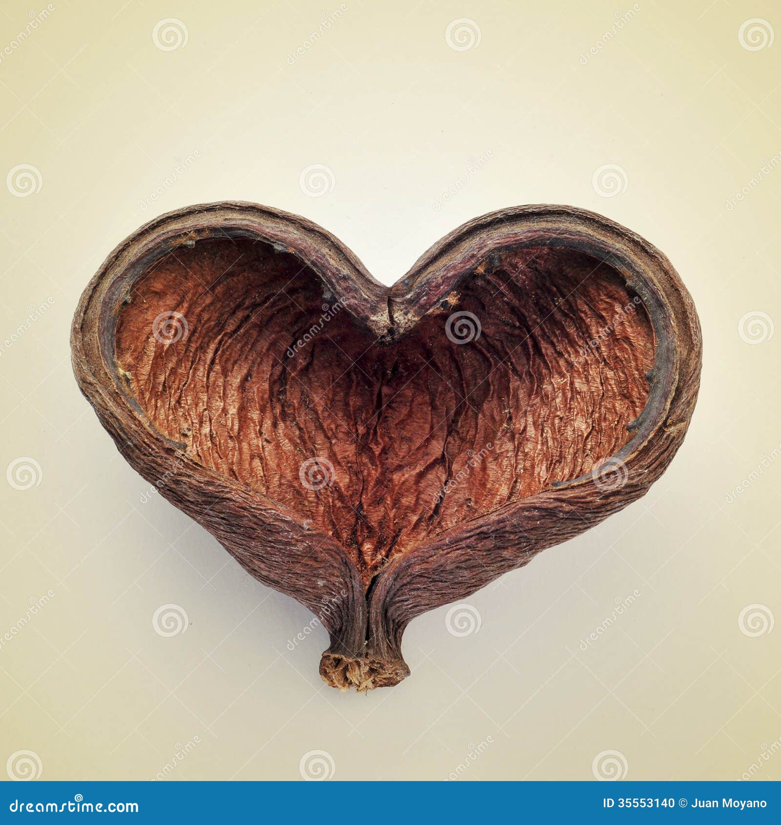 Heart-shaped nut shell stock photo. Image of detail, natural - 35553140