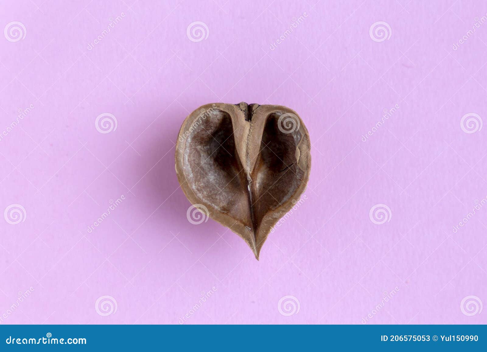 Heart Shaped Nuts on a Pink Background. Stock Image - Image of healthy ...