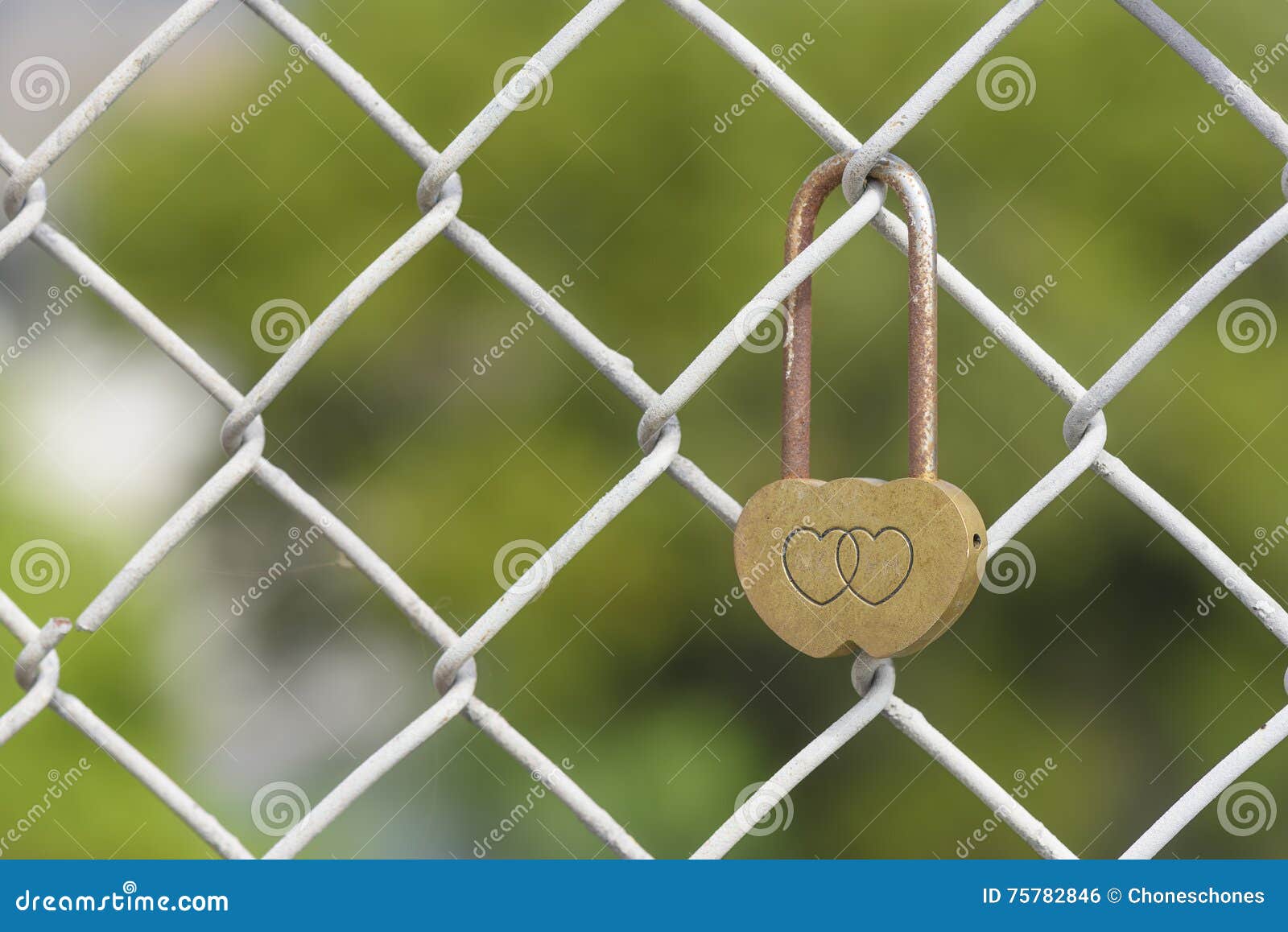Heart shaped padlock stock photo. Image of love, fence - 75782846