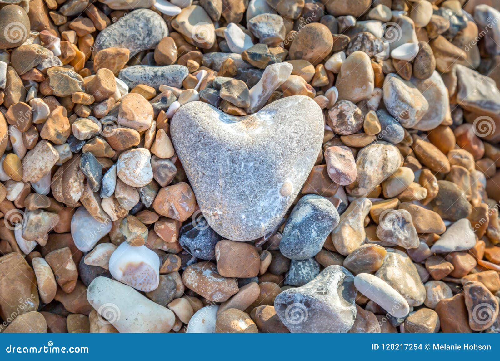 A Heart Shaped Pebble stock photo. Image of pebble, brown - 120217254
