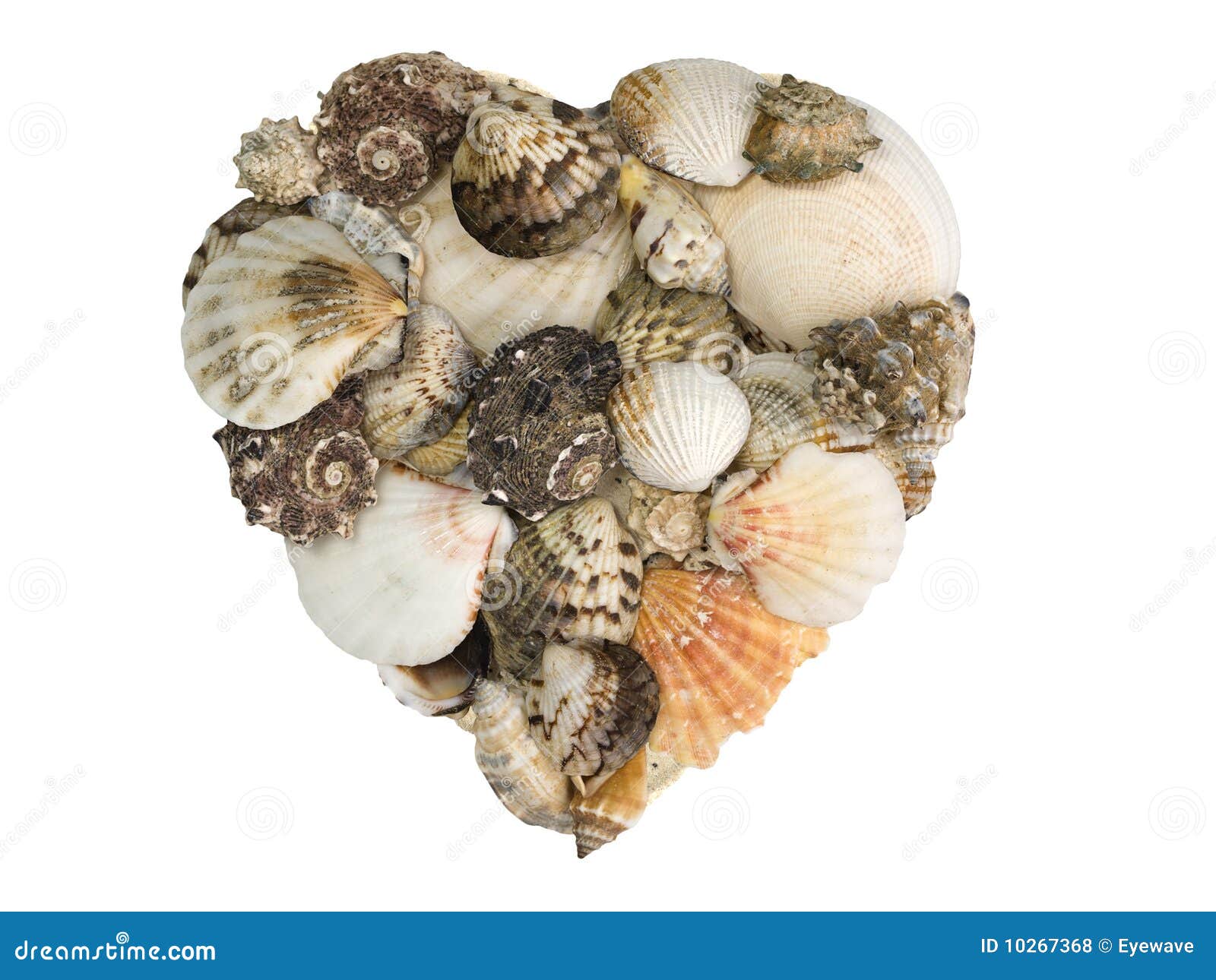 Heart-shaped Pile of Shells and Seasnails Stock Photo - Image of beach ...