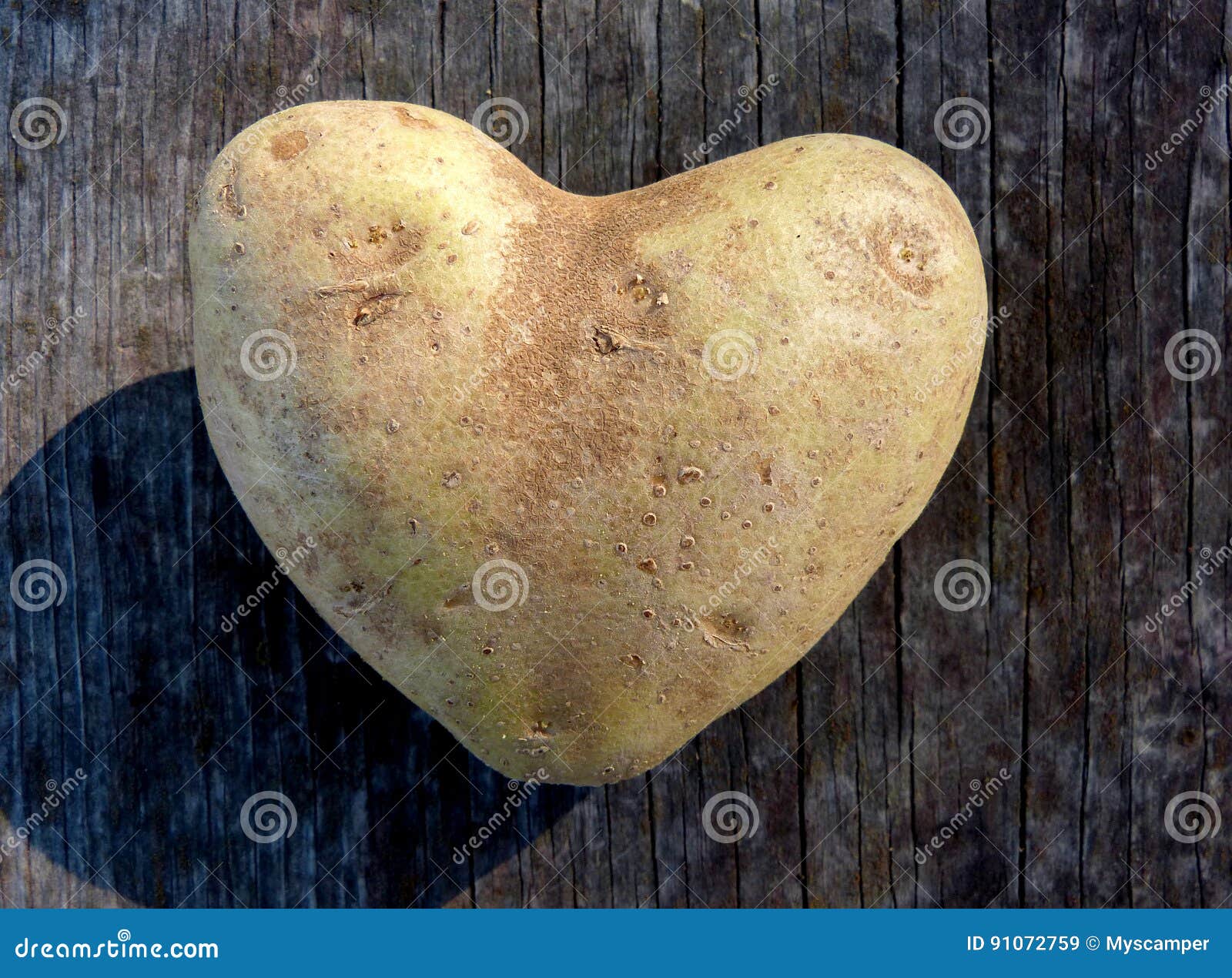 Heart Shaped Potato stock image. Image of valentine, unique - 91072759