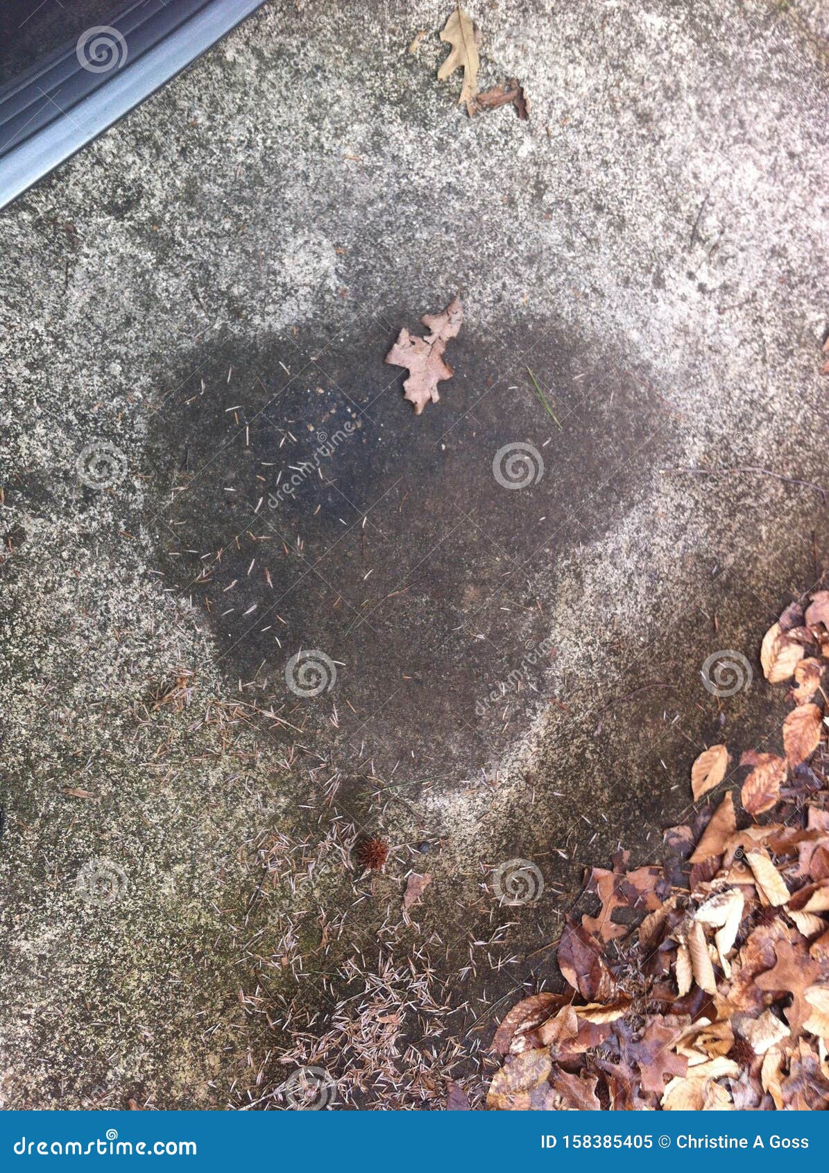 Heart shaped puddle stock image. Image of puddle, shaped - 158385405