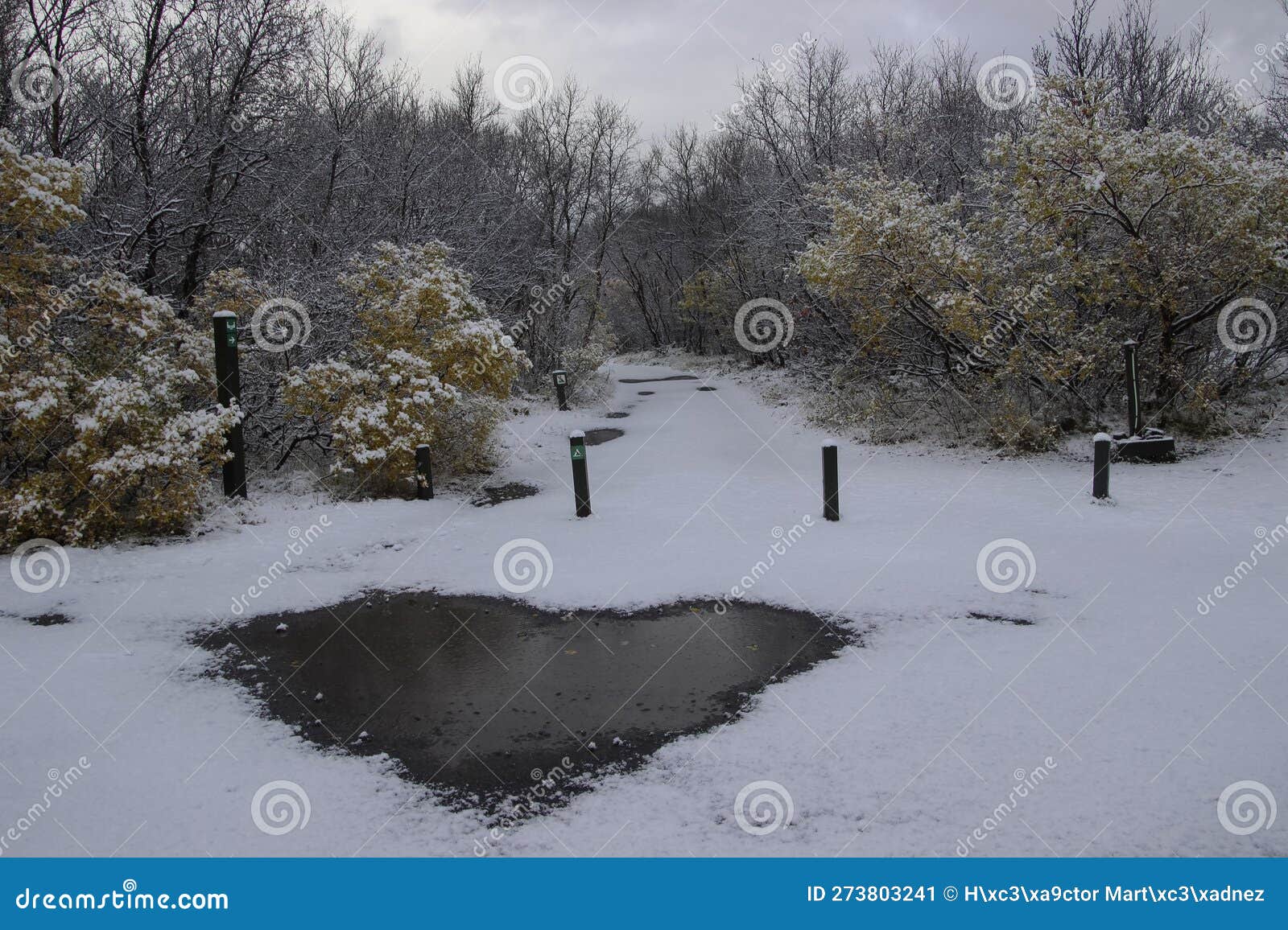 Heart shaped puddle stock image. Image of shaped, season - 273803241
