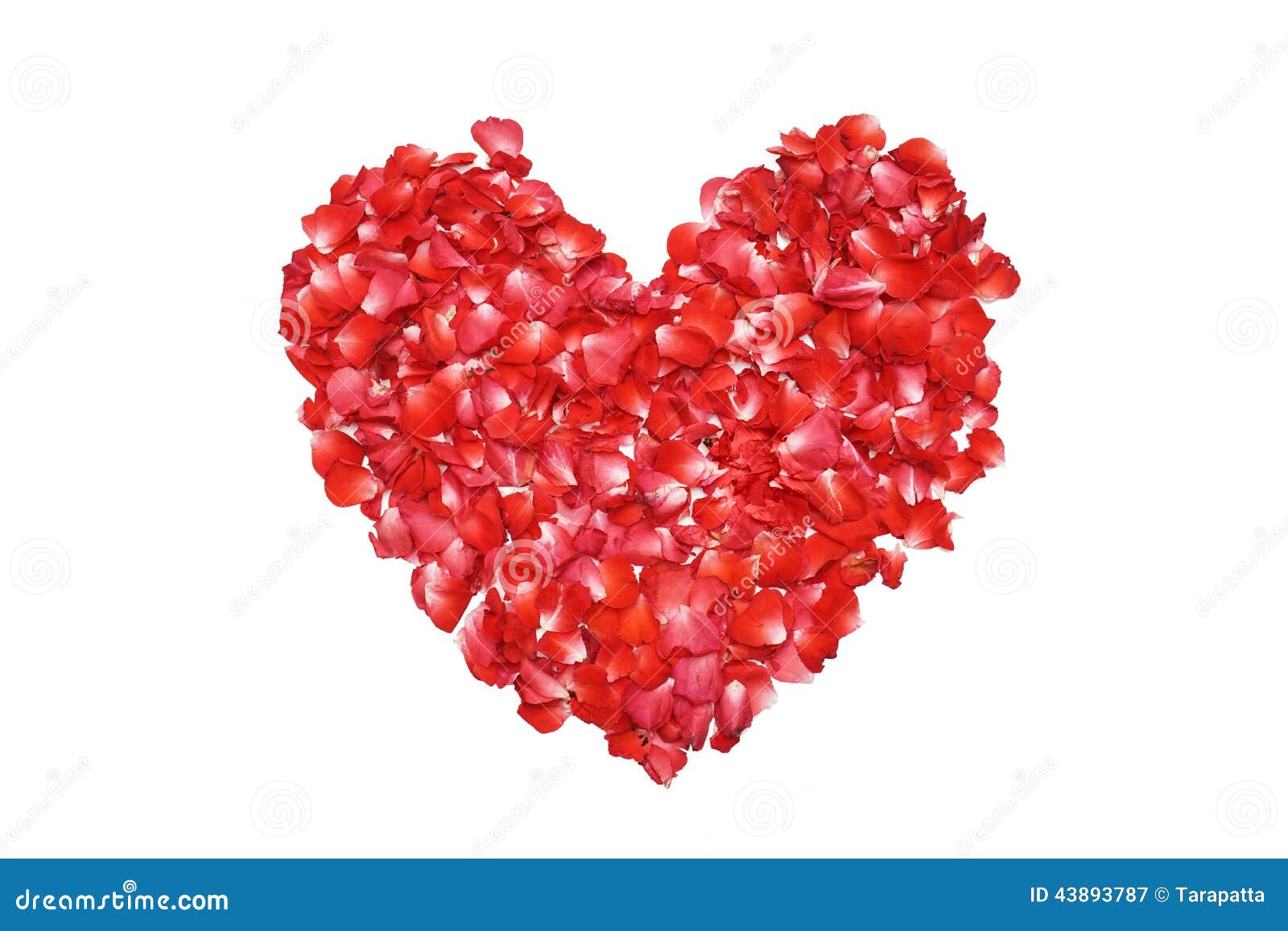 Heart shaped red rose stock image. Image of flowers, beautiful - 43893787