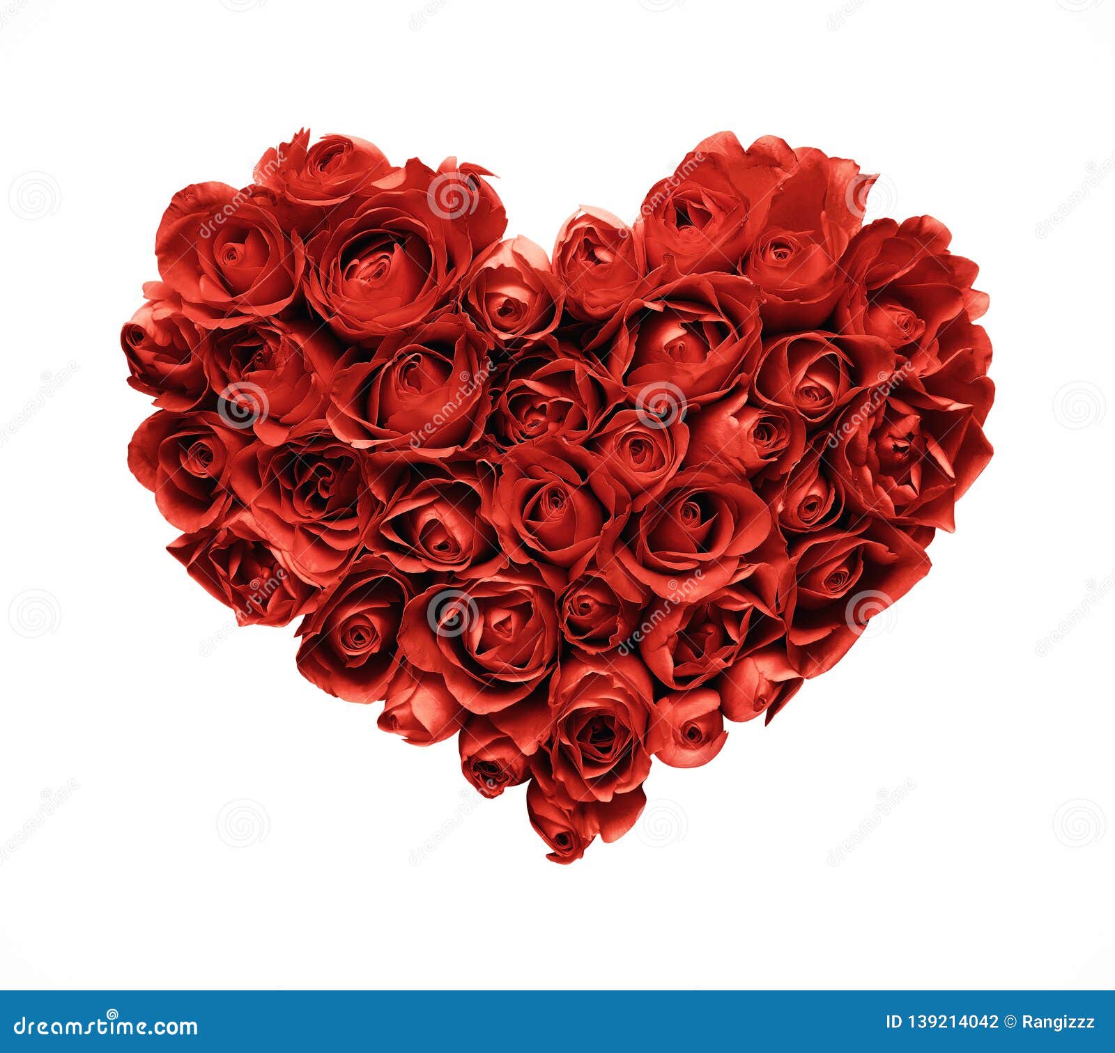 Heart Shaped Red Roses Isolated on White Stock Photo - Image of ...