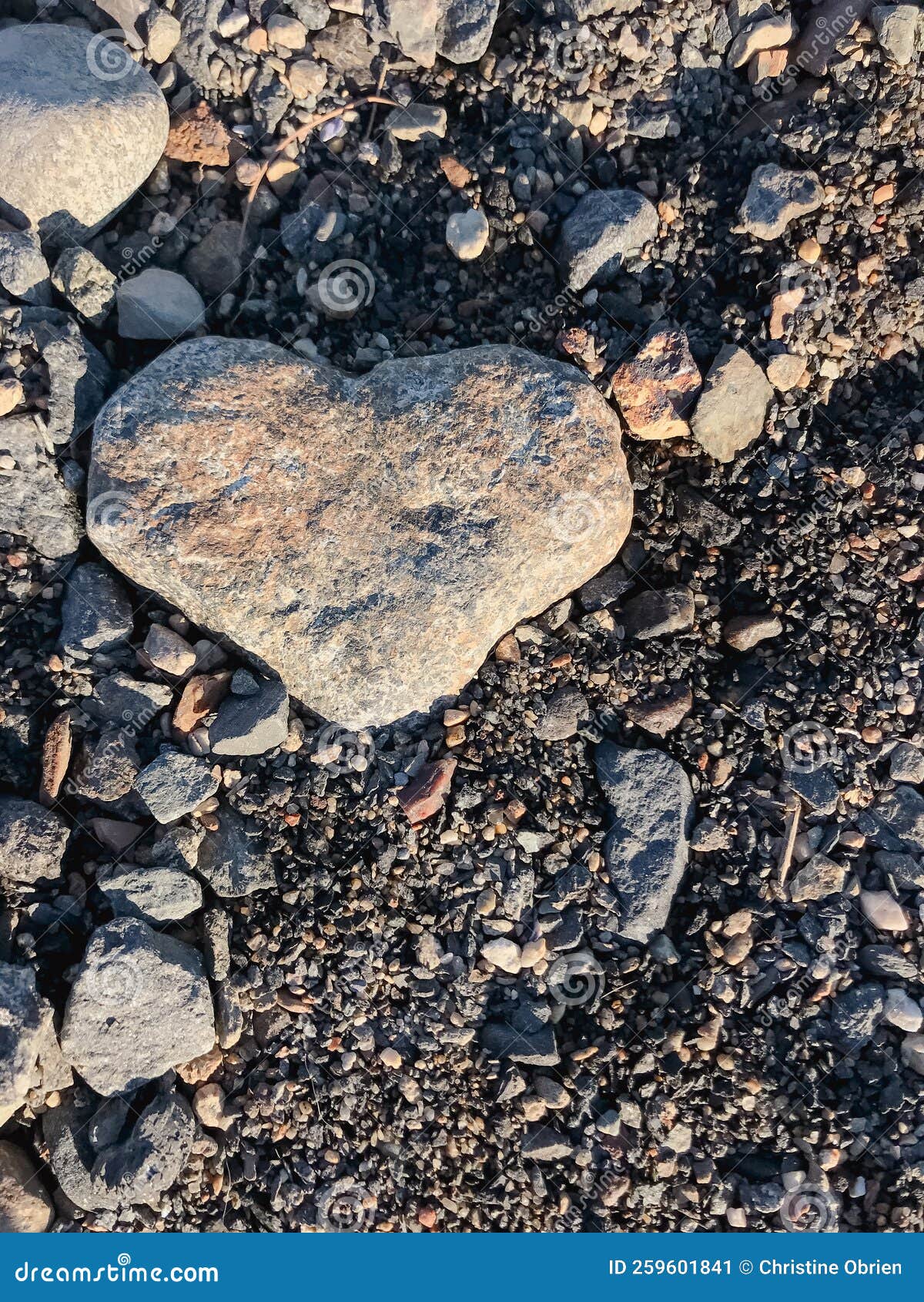 Heart shaped rock stock image. Image of wildlife, boulder - 259601841