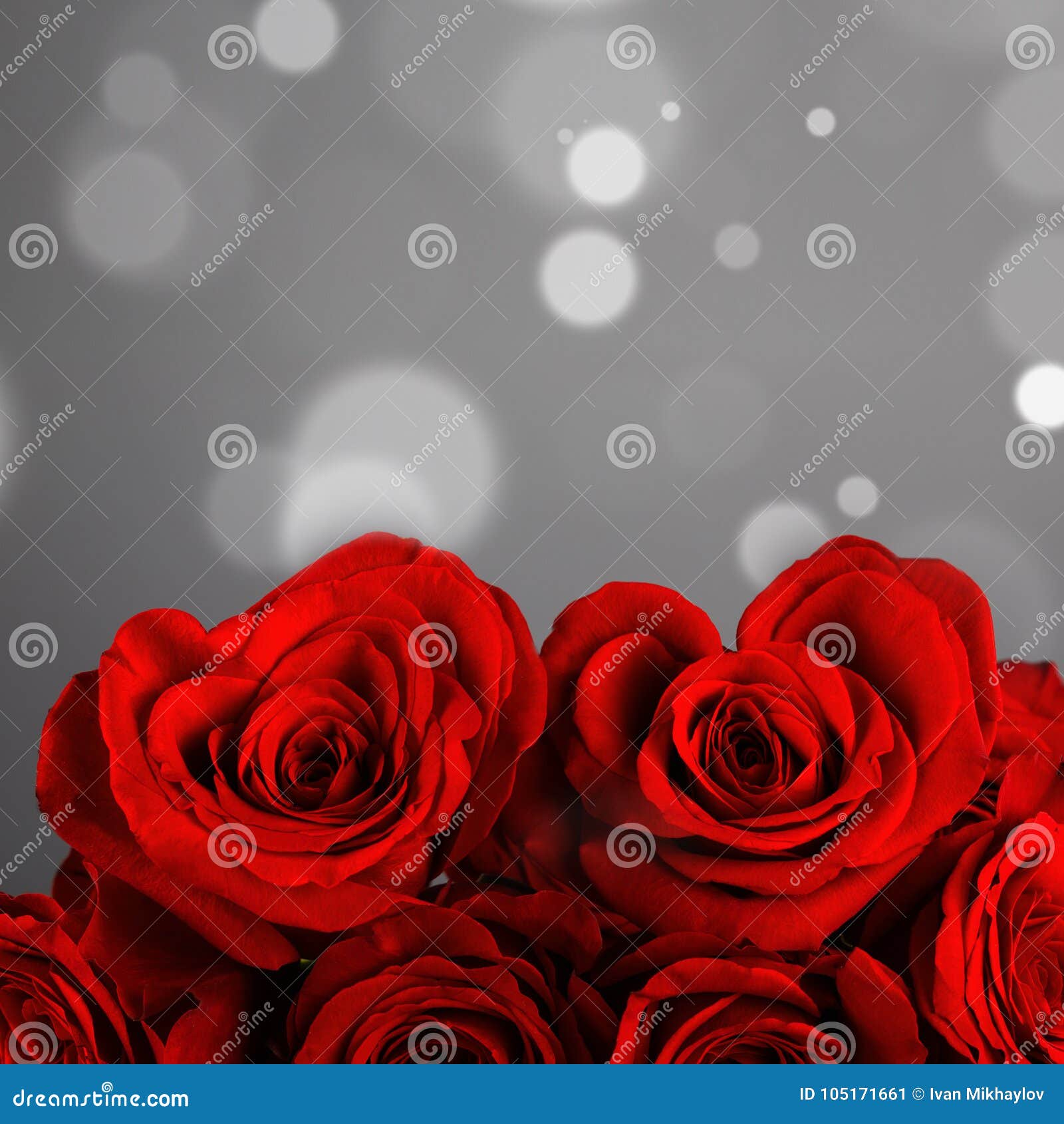 Heart shaped roses stock image. Image of romance, valentines - 105171661