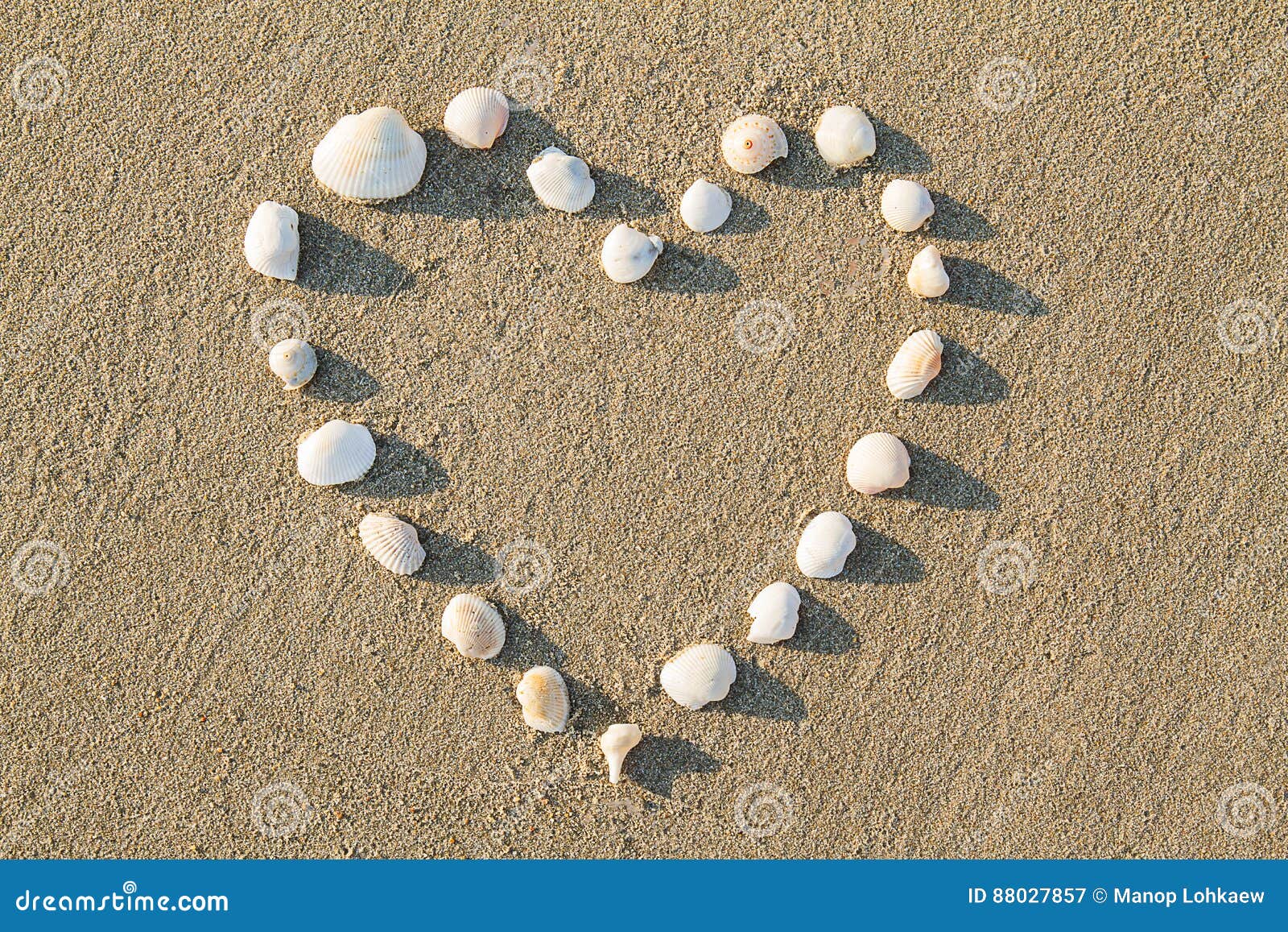Heart Shaped Sea Shells on the Sand Beach Stock Image - Image of summer ...