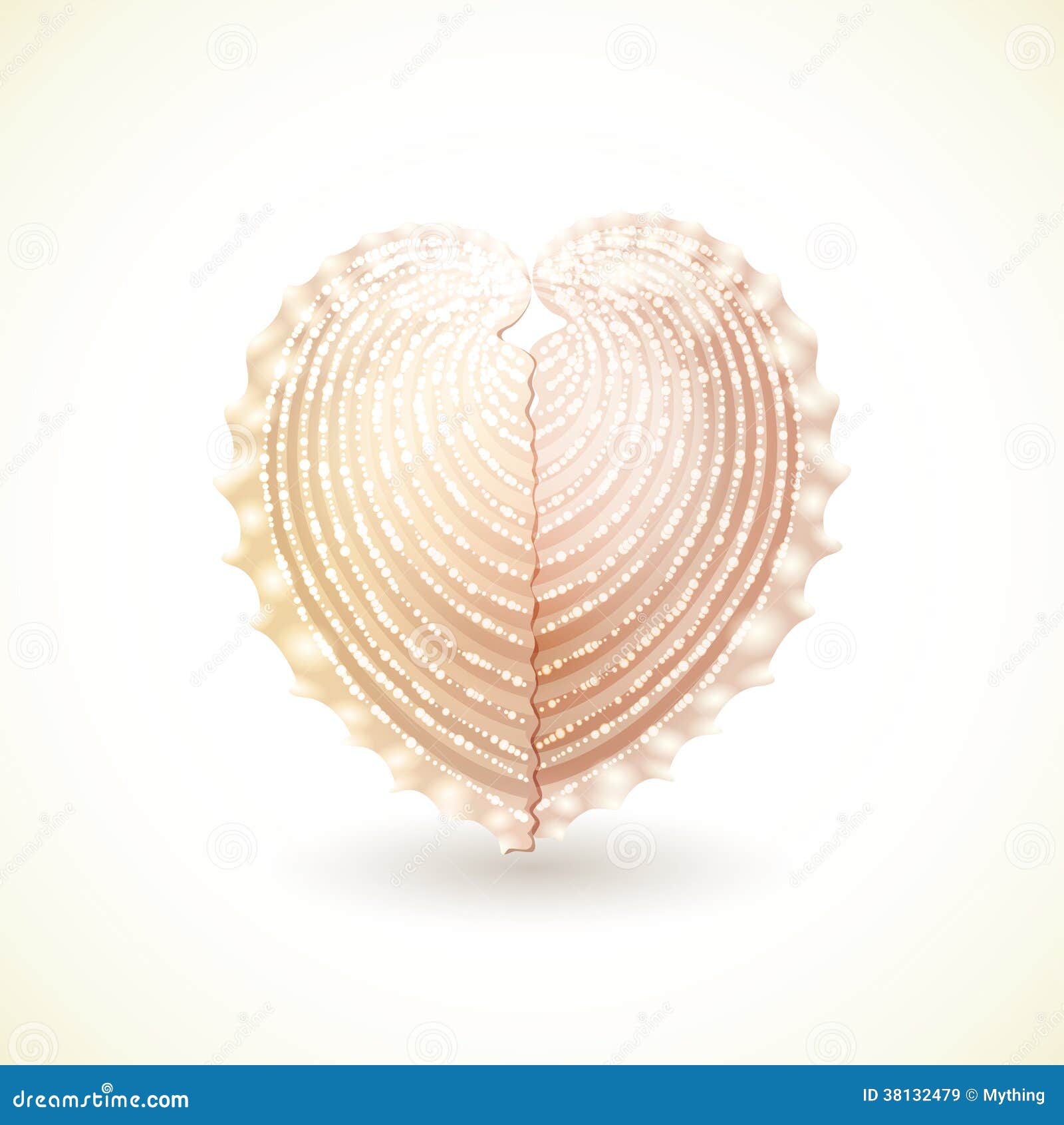 Heart Shaped Seashell, Isolated on White. Stock Vector - Illustration ...