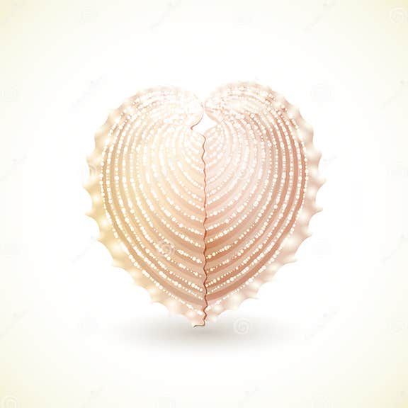 Heart Shaped Seashell, Isolated on White. Stock Vector - Illustration ...