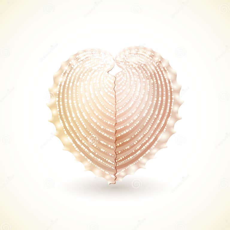 Heart Shaped Seashell, Isolated on White. Stock Vector - Illustration ...