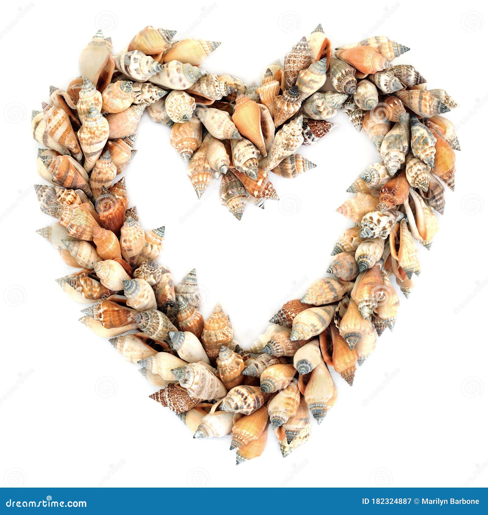 Heart Shaped Seashell Wreath Stock Image - Image of elegant, shells ...