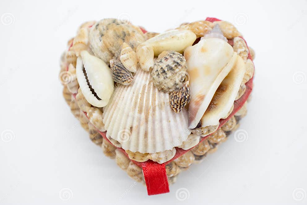 Heart Shaped Box of Seashells on White Background Stock Photo - Image ...