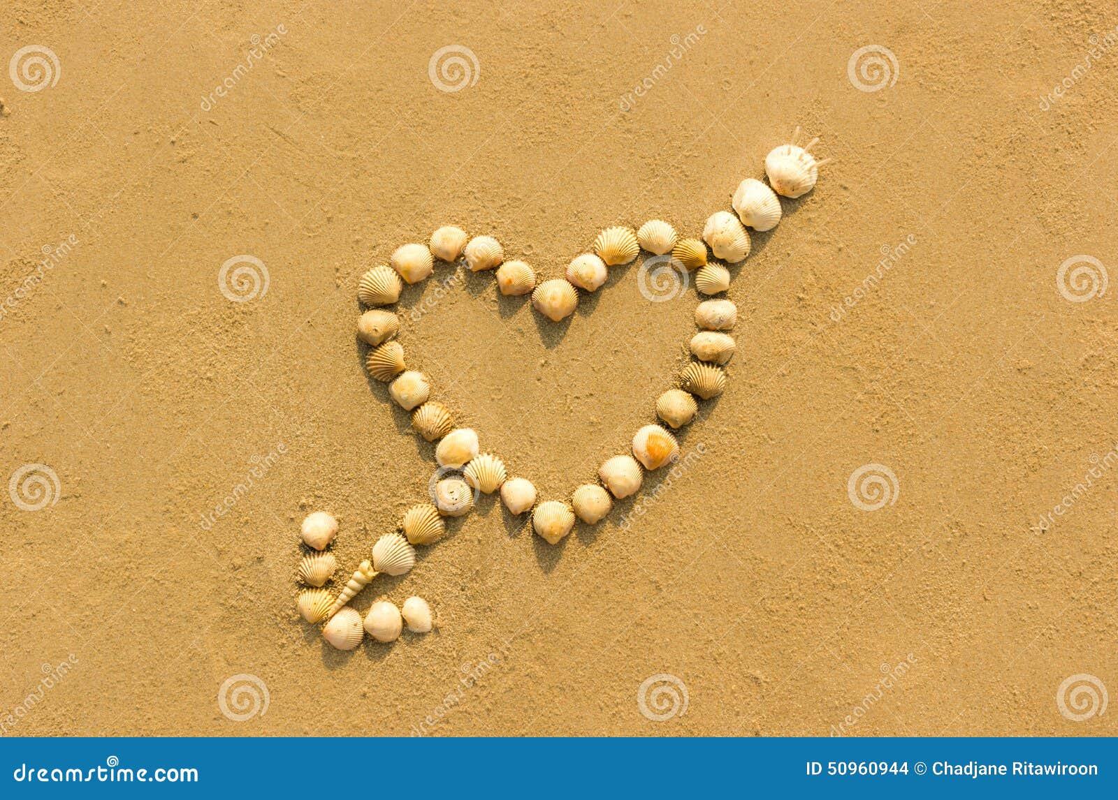 Heart Shaped Shells on the Beach Stock Photo - Image of heart, vacation ...