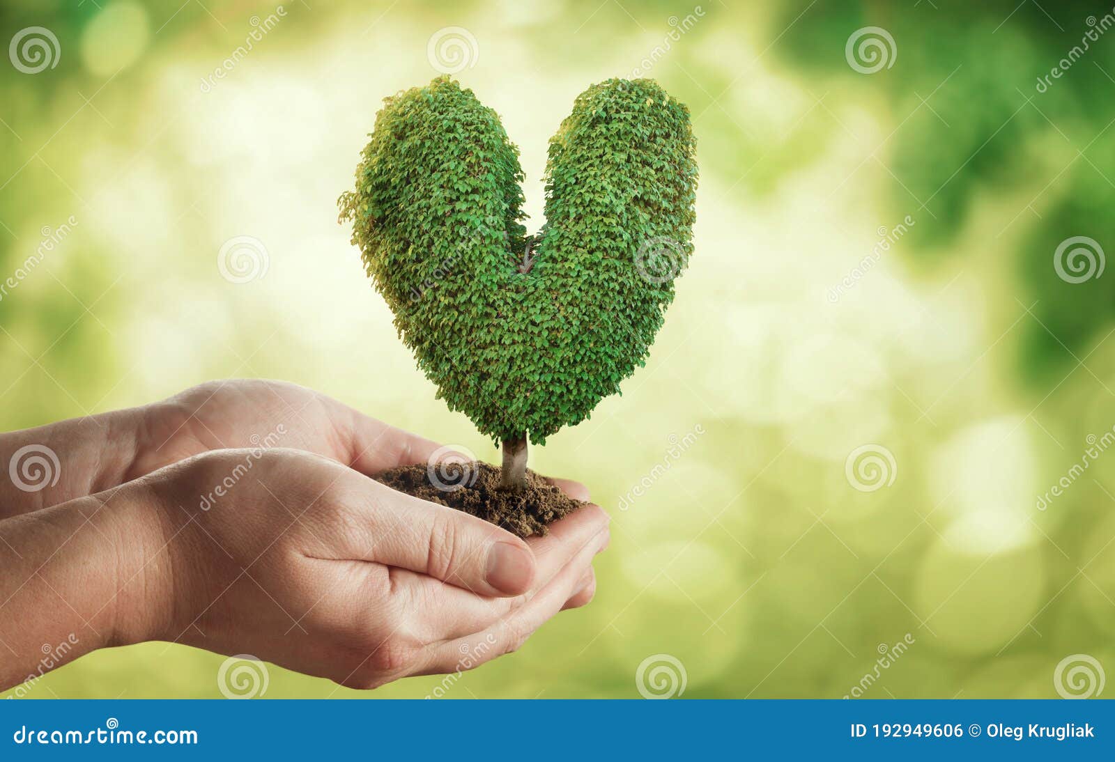 Heart shaped tree in hands stock photo. Image of leaf - 192949606