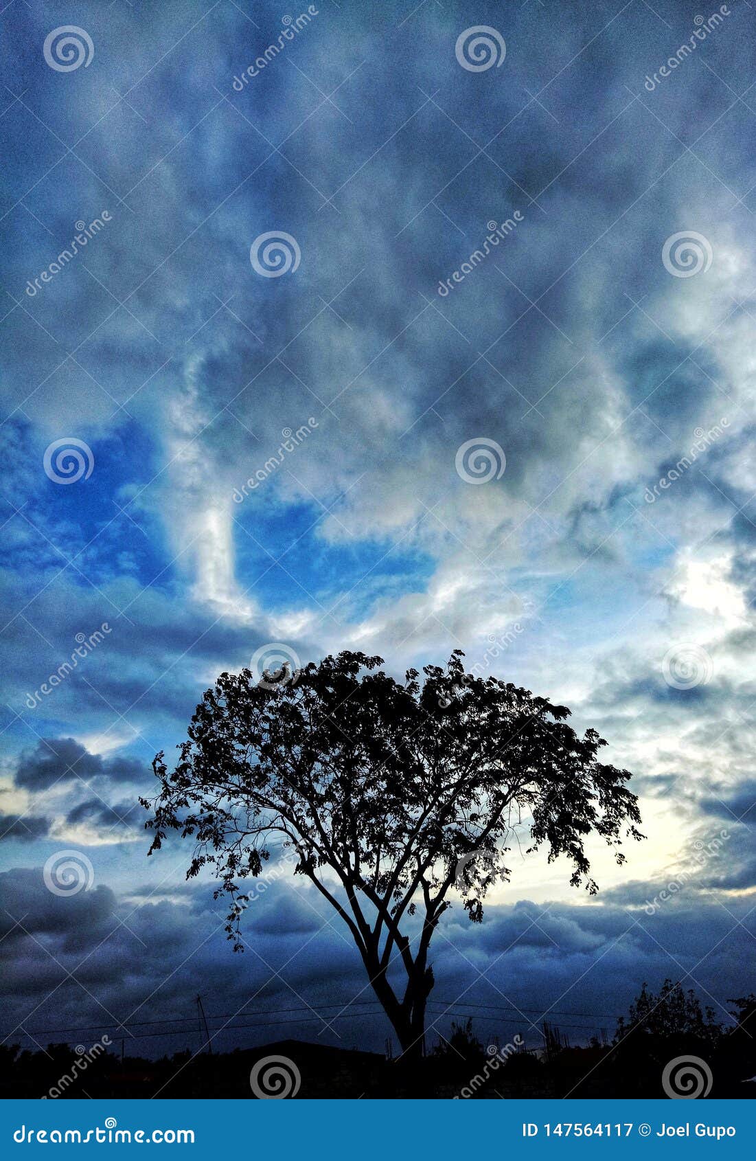 A heart shaped tree stock image. Image of shaped, blue - 147564117