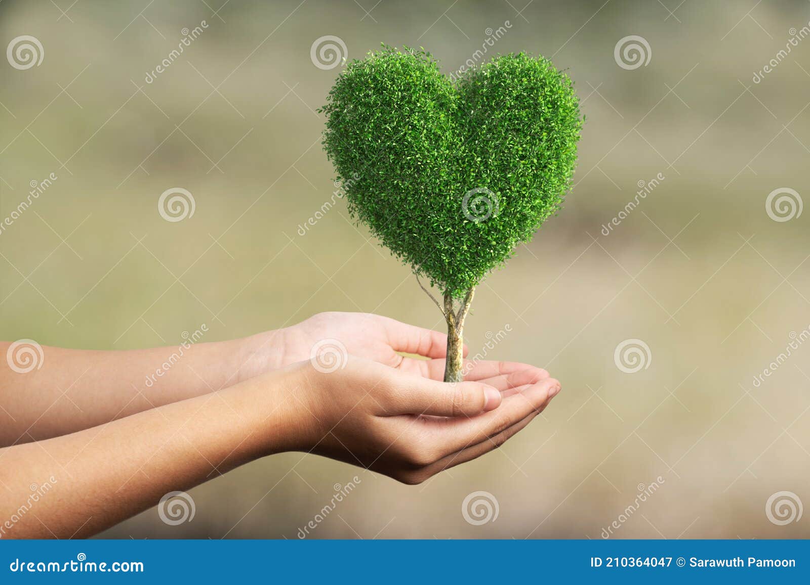 Heart Shaped Tree in Human Hand Stock Image - Image of hand, emotions ...