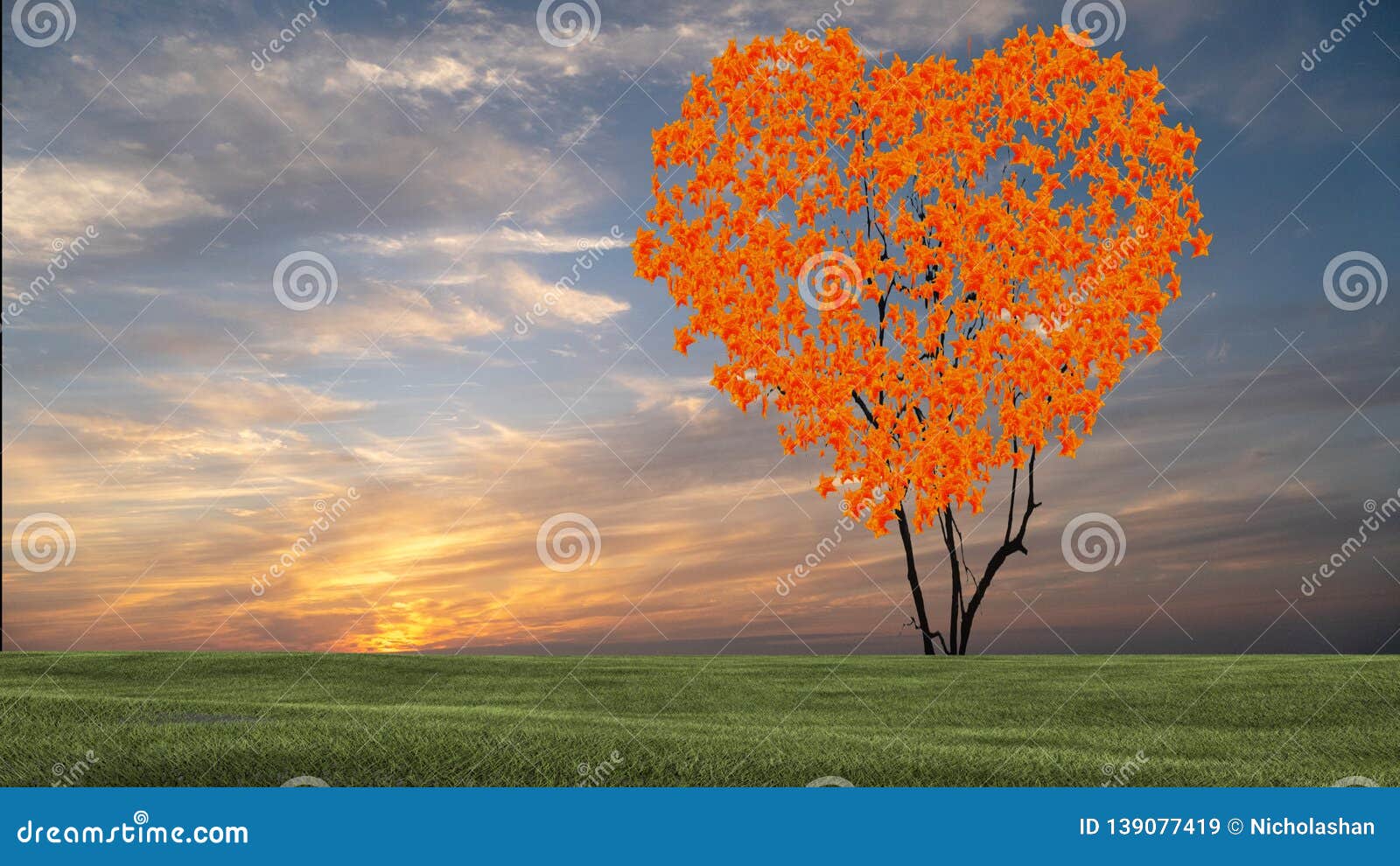 Heart Shaped Tree at Sunset with Nice Sky Sunset Stock Image - Image of ...
