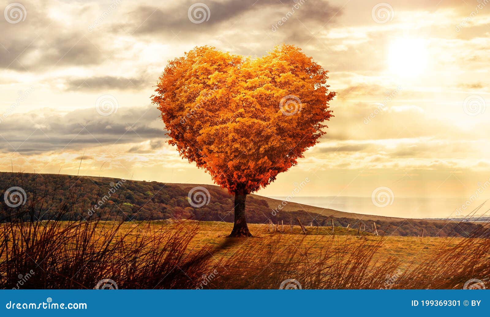 Heart Shaped Tree in a Surreal Landscape Stock Image - Image of meadow ...