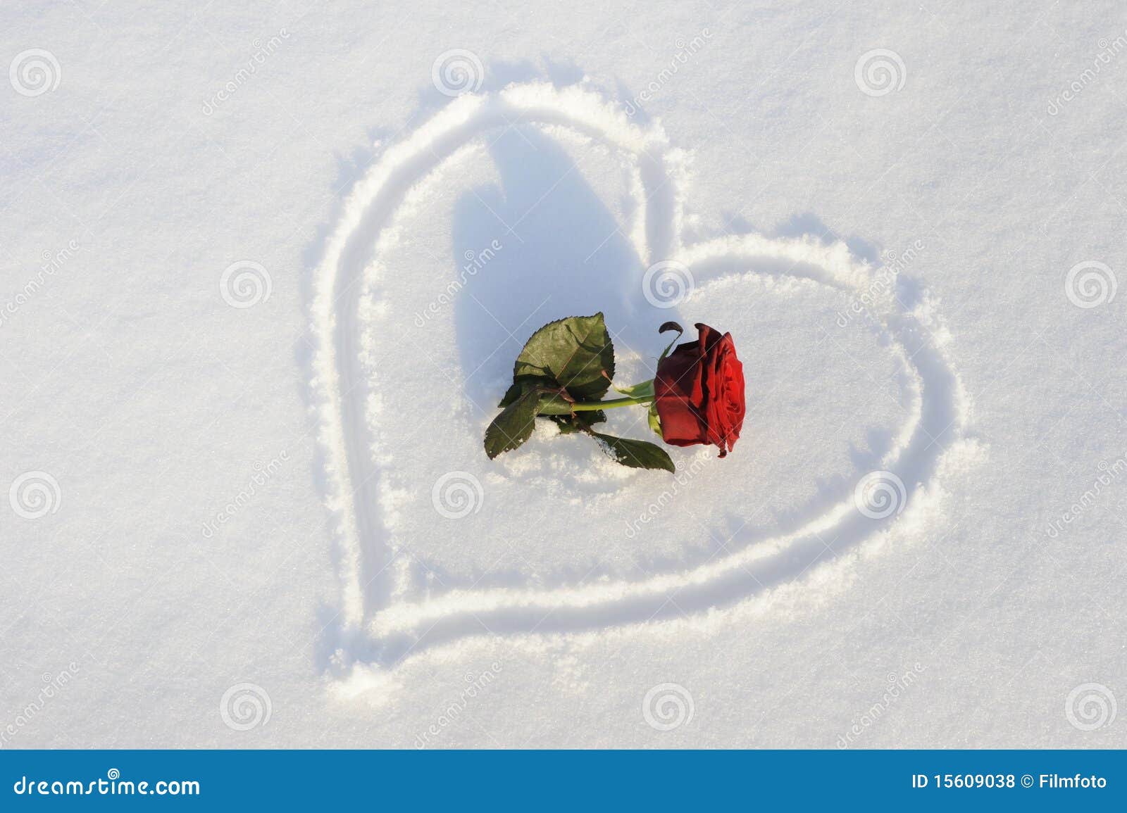 Heart in snow stock photo. Image of fresh, heart, happiness - 15609038