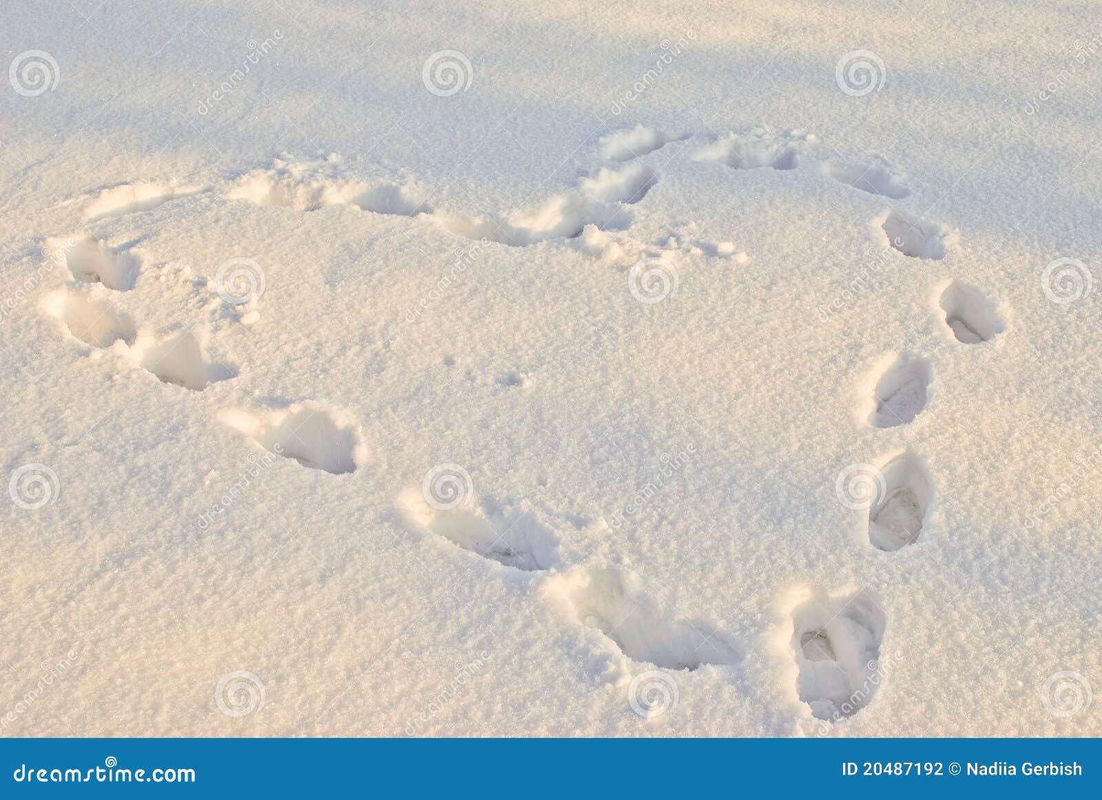 Heart in snow stock photo. Image of cold, valentine, heart - 20487192