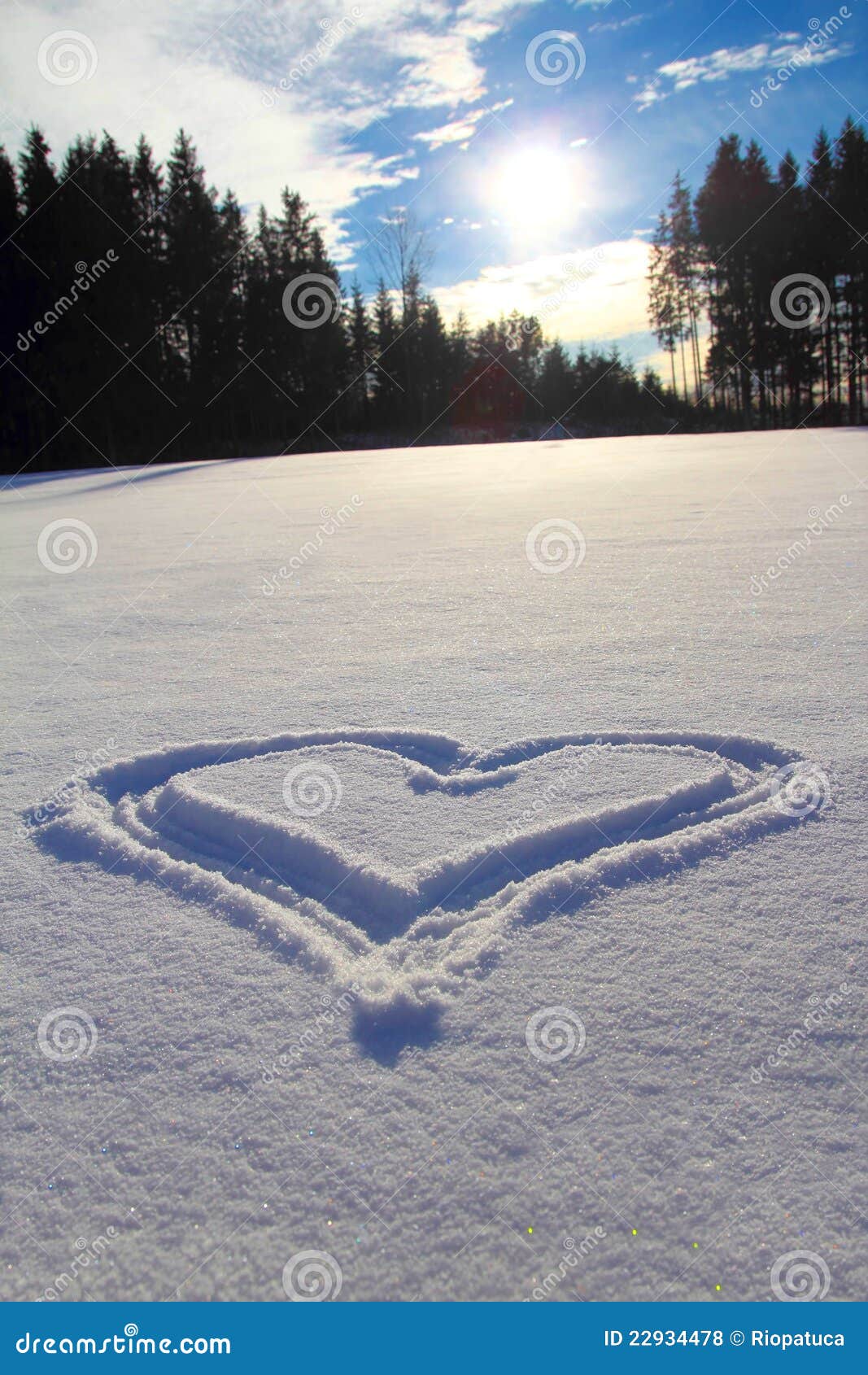Heart in the snow stock photo. Image of powder, holiday - 22934478