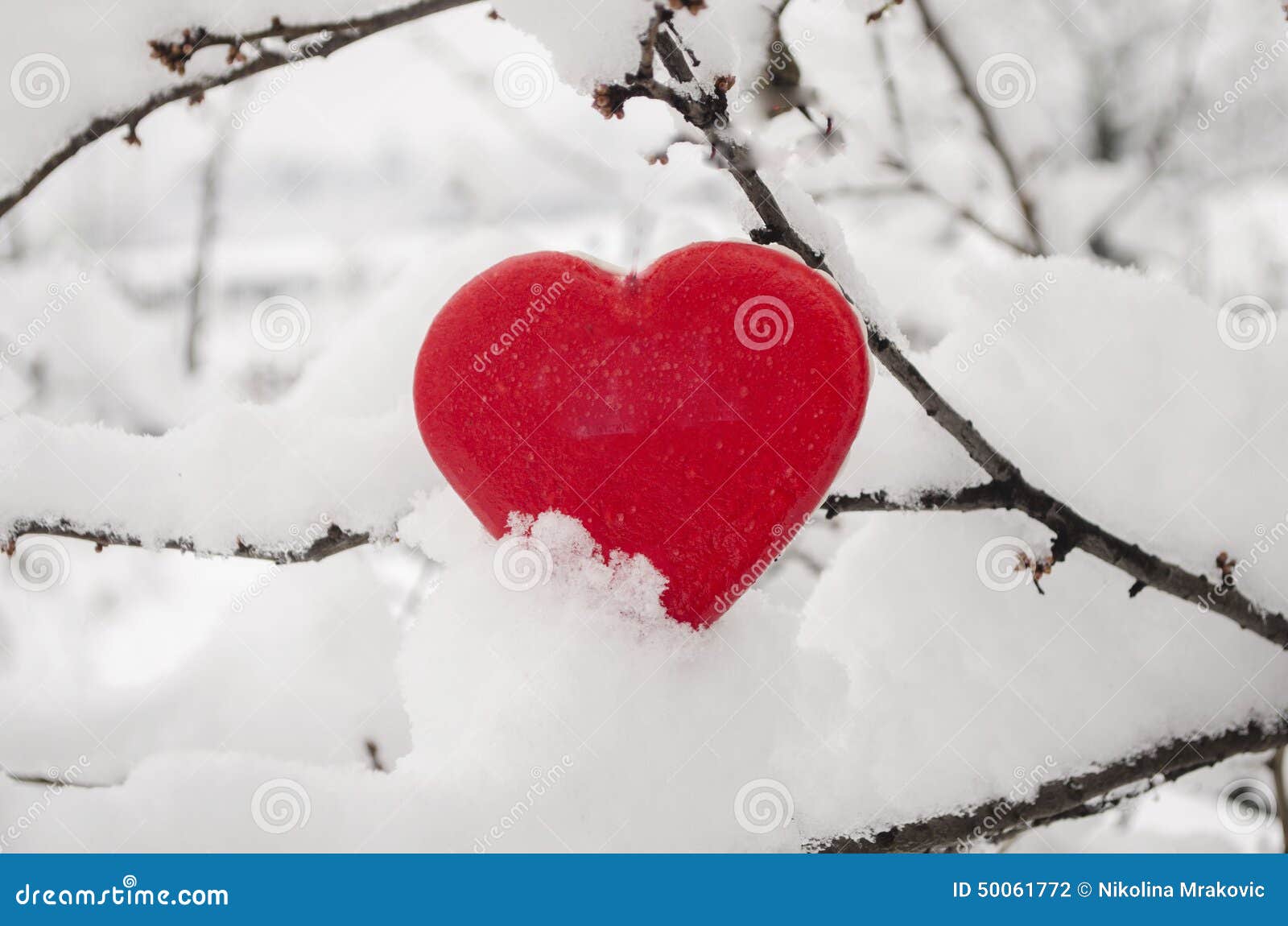Heart in the snow stock photo. Image of valentin, love - 50061772