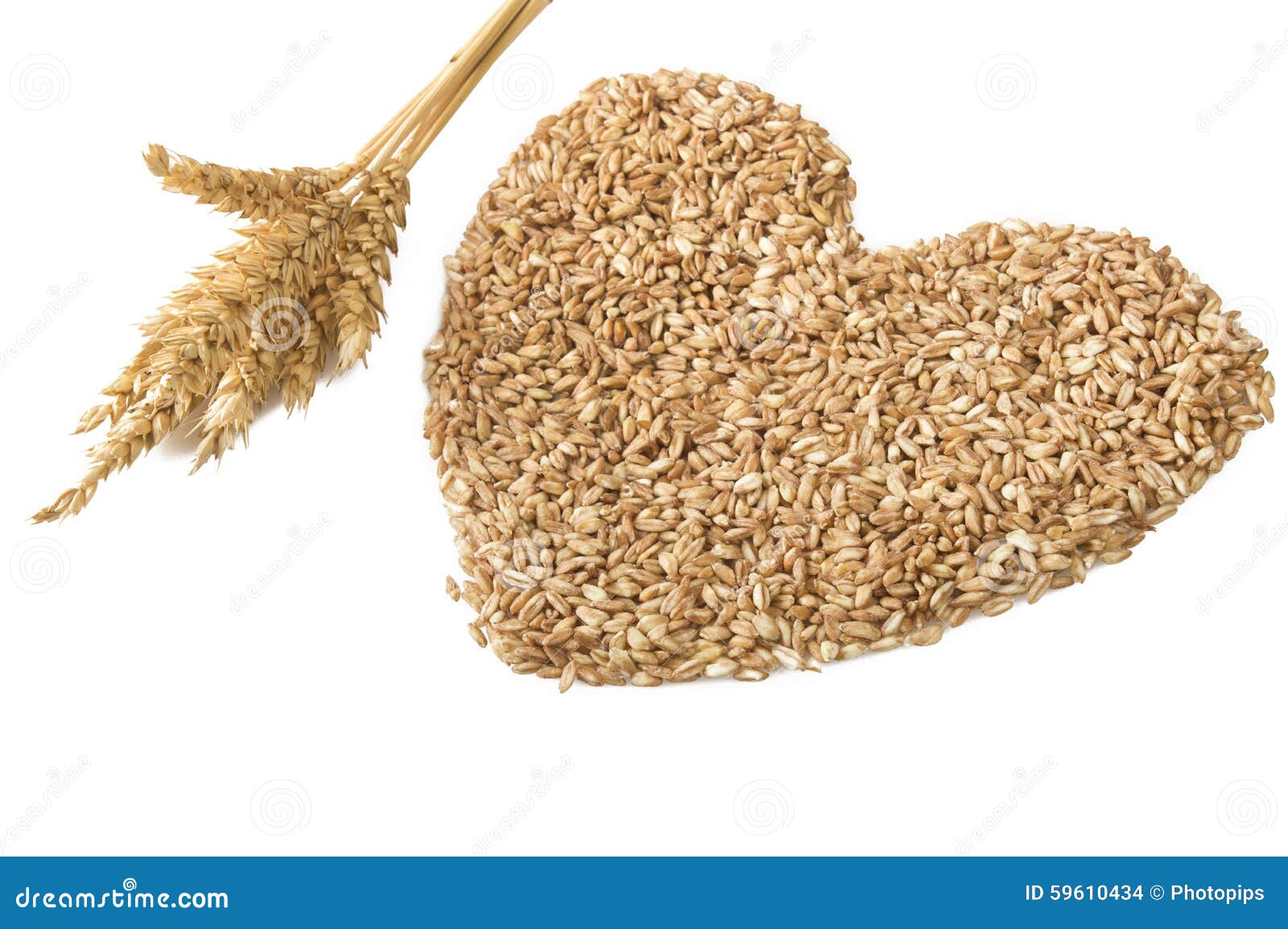 Heart of Spelt Grain stock photo. Image of grain, spelt - 59610434