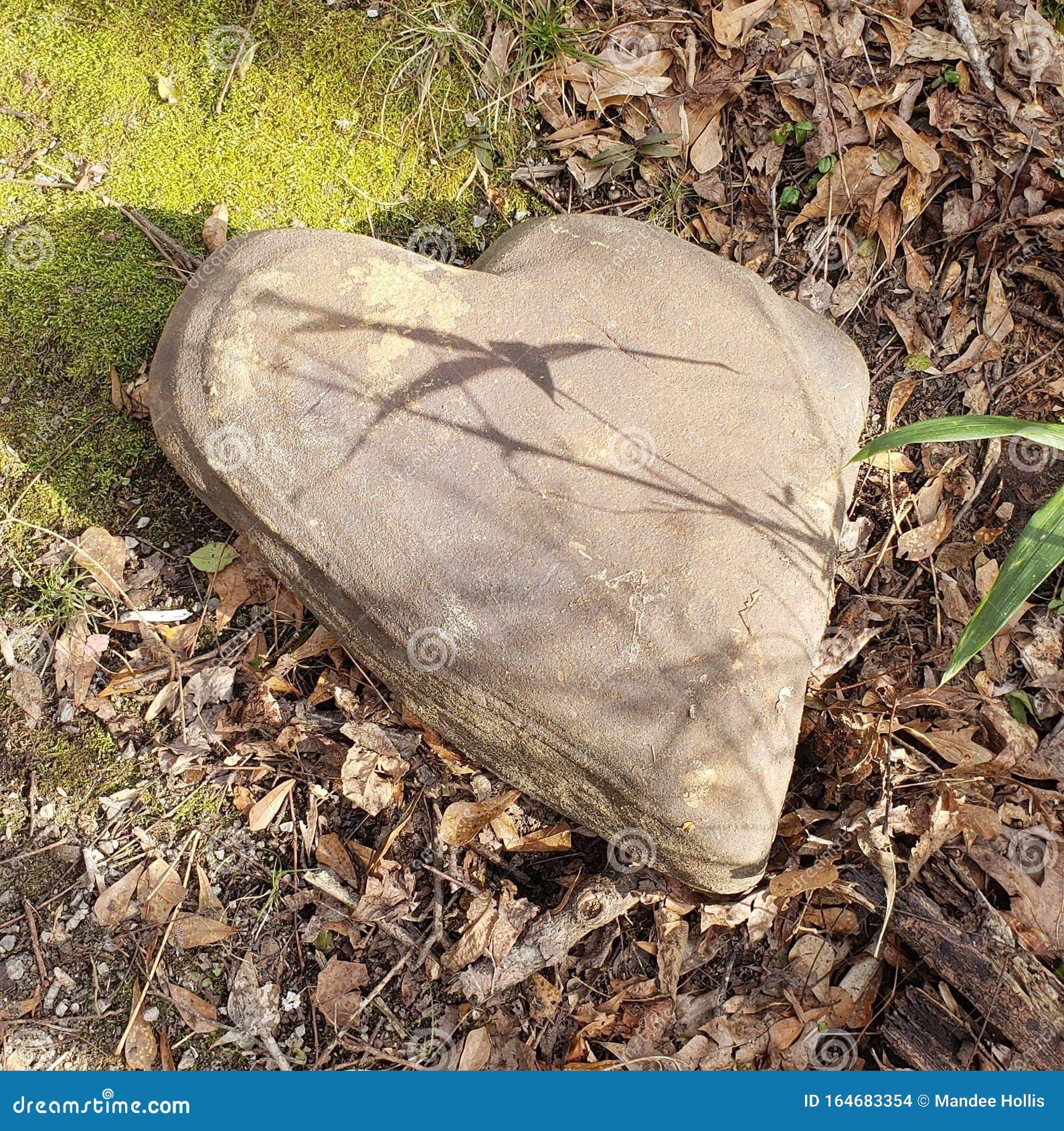Heart of stone stock photo. Image of hear, unique, heart - 164683354