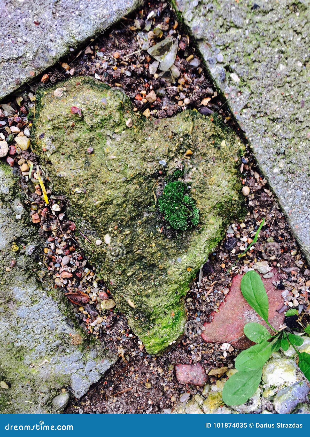 Heart from stone stock image. Image of naturally, natural - 101874035