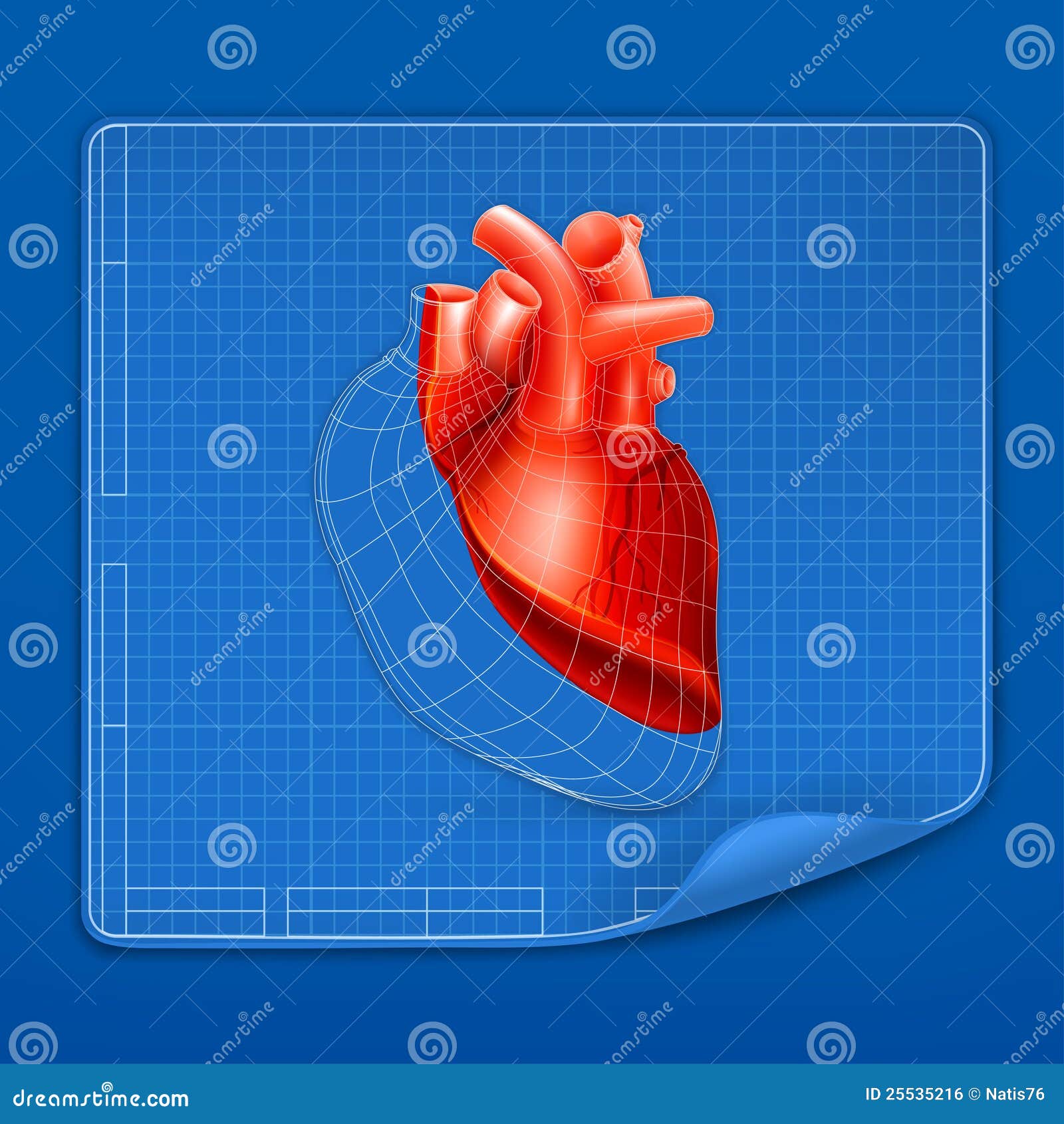 Heart Structure. Types Of Cardiac Arrhythmia. Vector Illustration ...