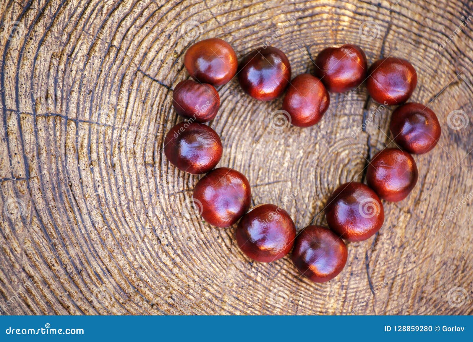 Heart symbol chestnut stub stock photo. Image of healthy - 128859280