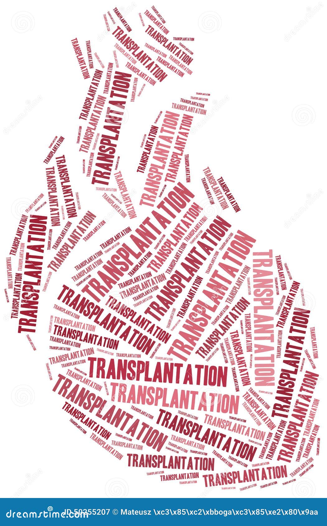 Heart Transplantation. Word Cloud Illustration Stock Illustration ...