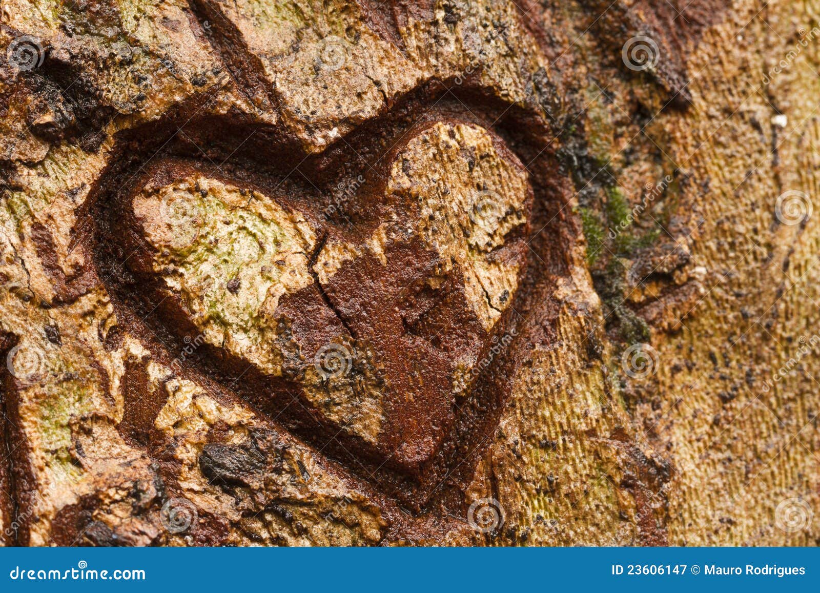 Heart on tree stock image. Image of valentine, mark, background - 23606147