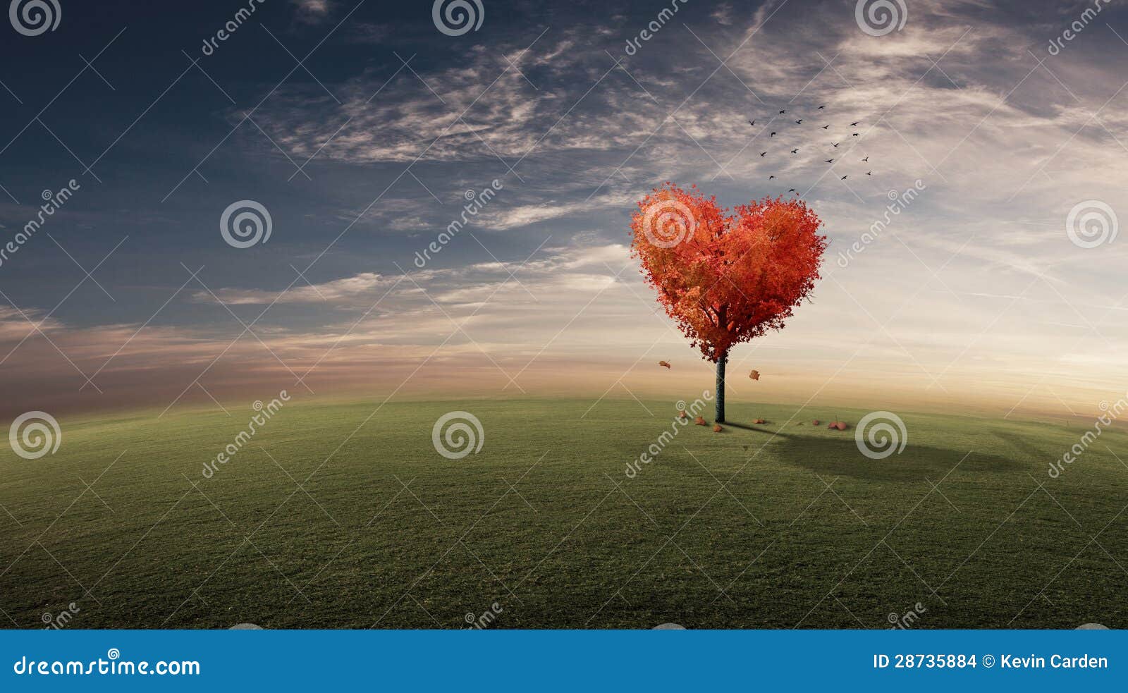 Heart Tree stock photo. Image of outdoor, autumn, backgrounds - 28735884
