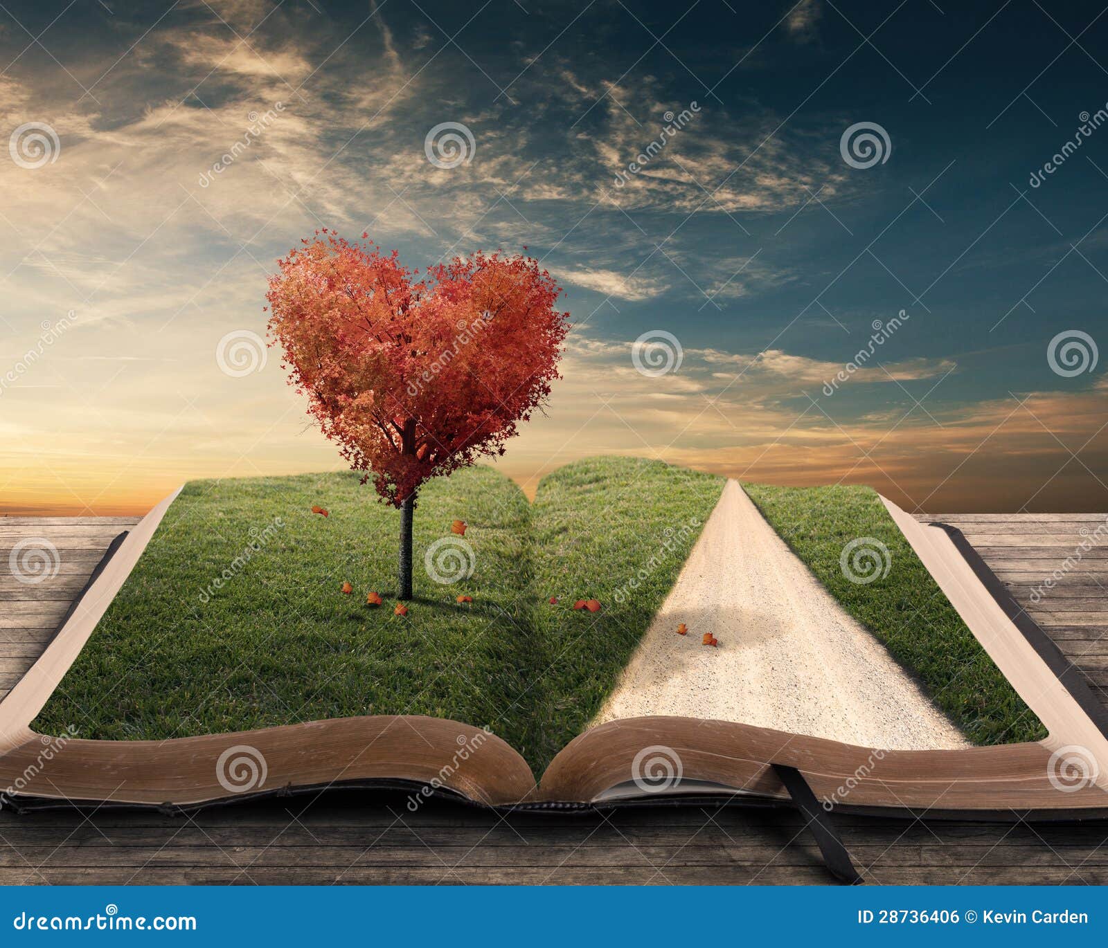 Heart tree and book stock photo. Image of brown, colorful - 28736406