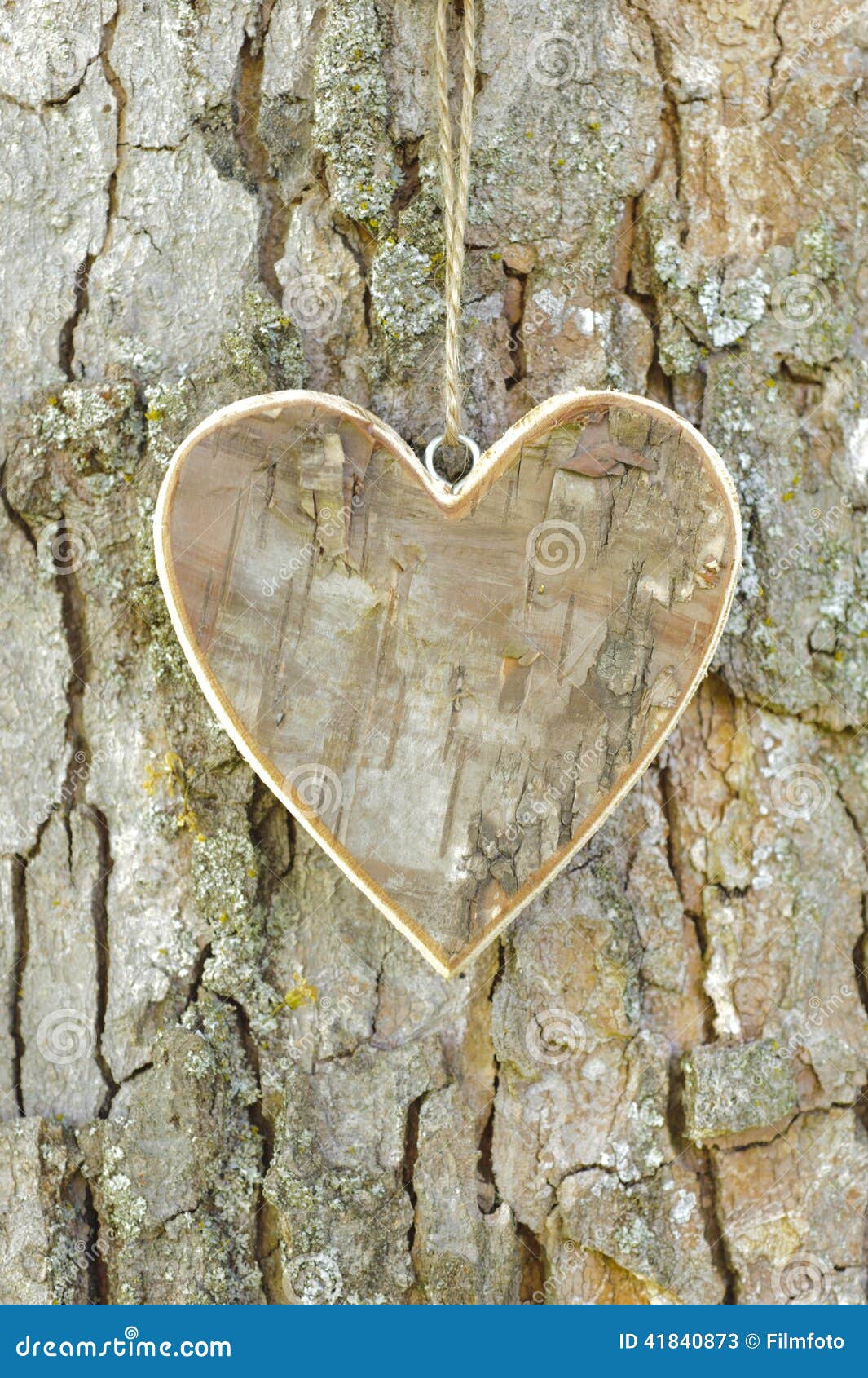 Heart on tree stock image. Image of pine, decoration - 41840873