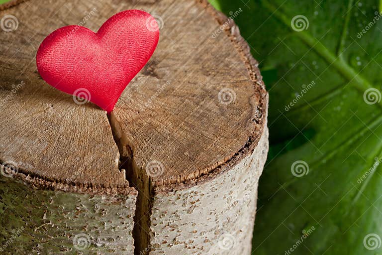 Heart on a Tree cut stock image. Image of forest, brown - 36953769
