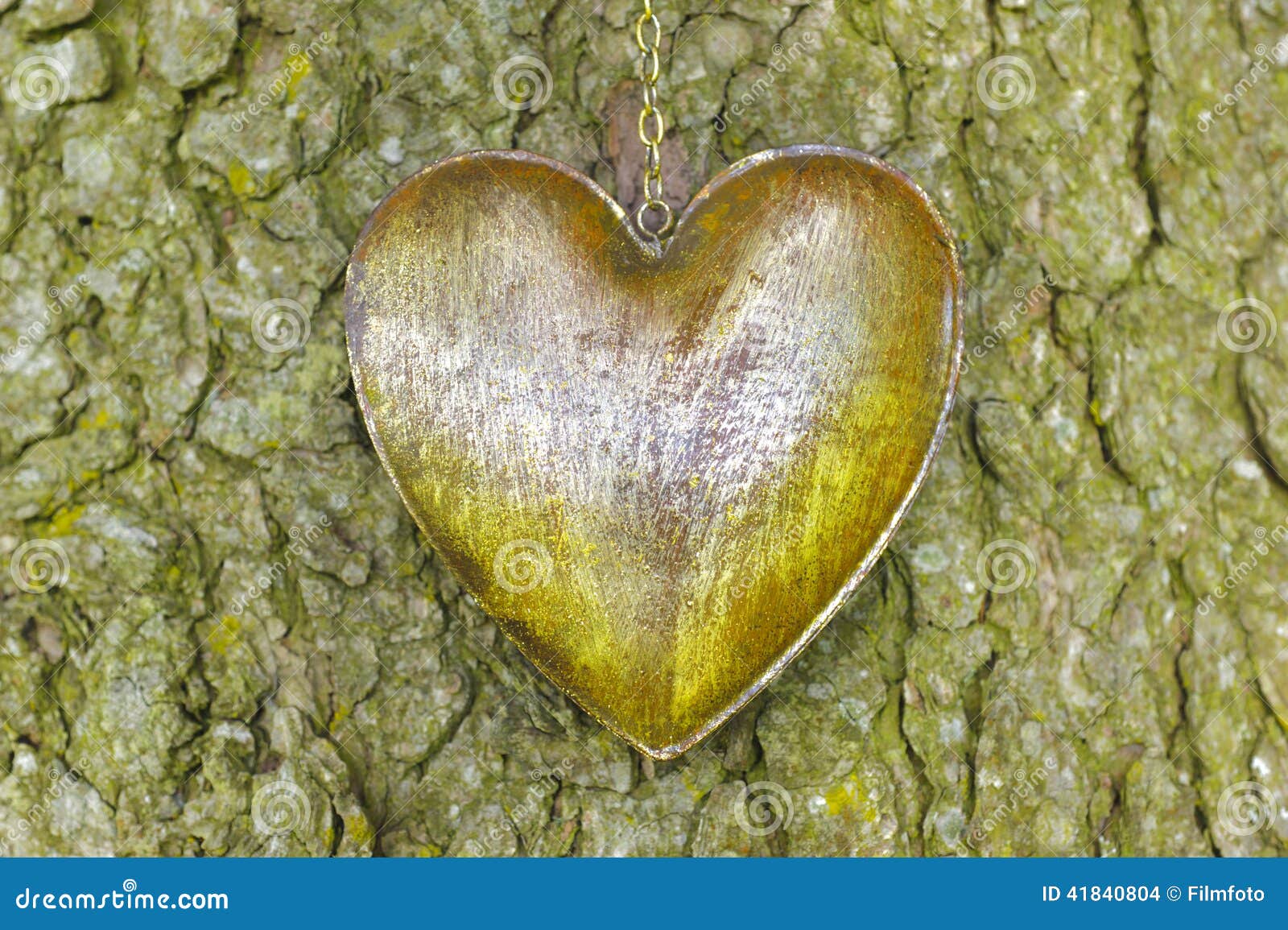 Heart on tree stock photo. Image of natural, timber, heart - 41840804